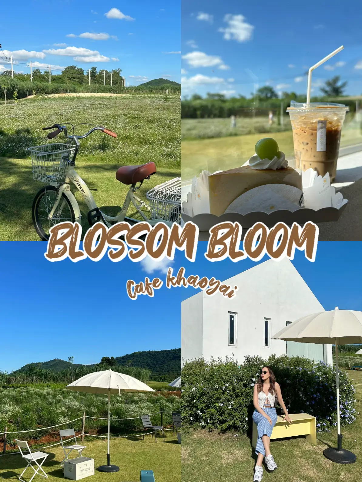 Blossom bloom cafe Khaoyai | แกลเลอรีที่โพสต์โดย hello world | Lemon8