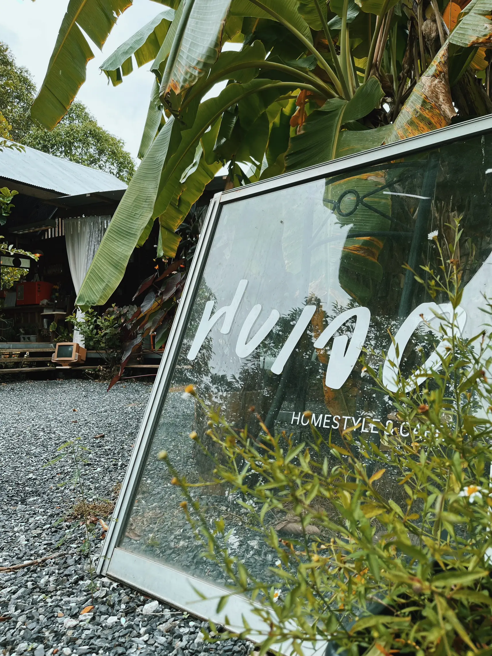 คาเฟ่ระยอง คาเฟ่ลับ แต่ก็ไม่ยากที่จะไป…พบเจอ…. | แกลเลอรีที่โพสต์โดย Uma_lemon8 | Lemon8