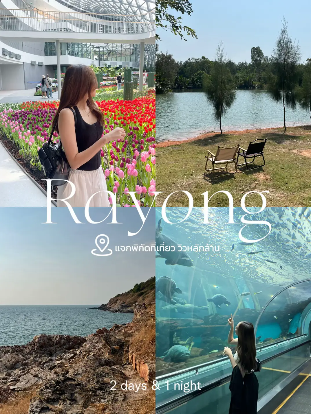 Rayong plan trip 2 days 1 night 🌅🐠 | แกลเลอรีที่โพสต์โดย pimthongs | Lemon8