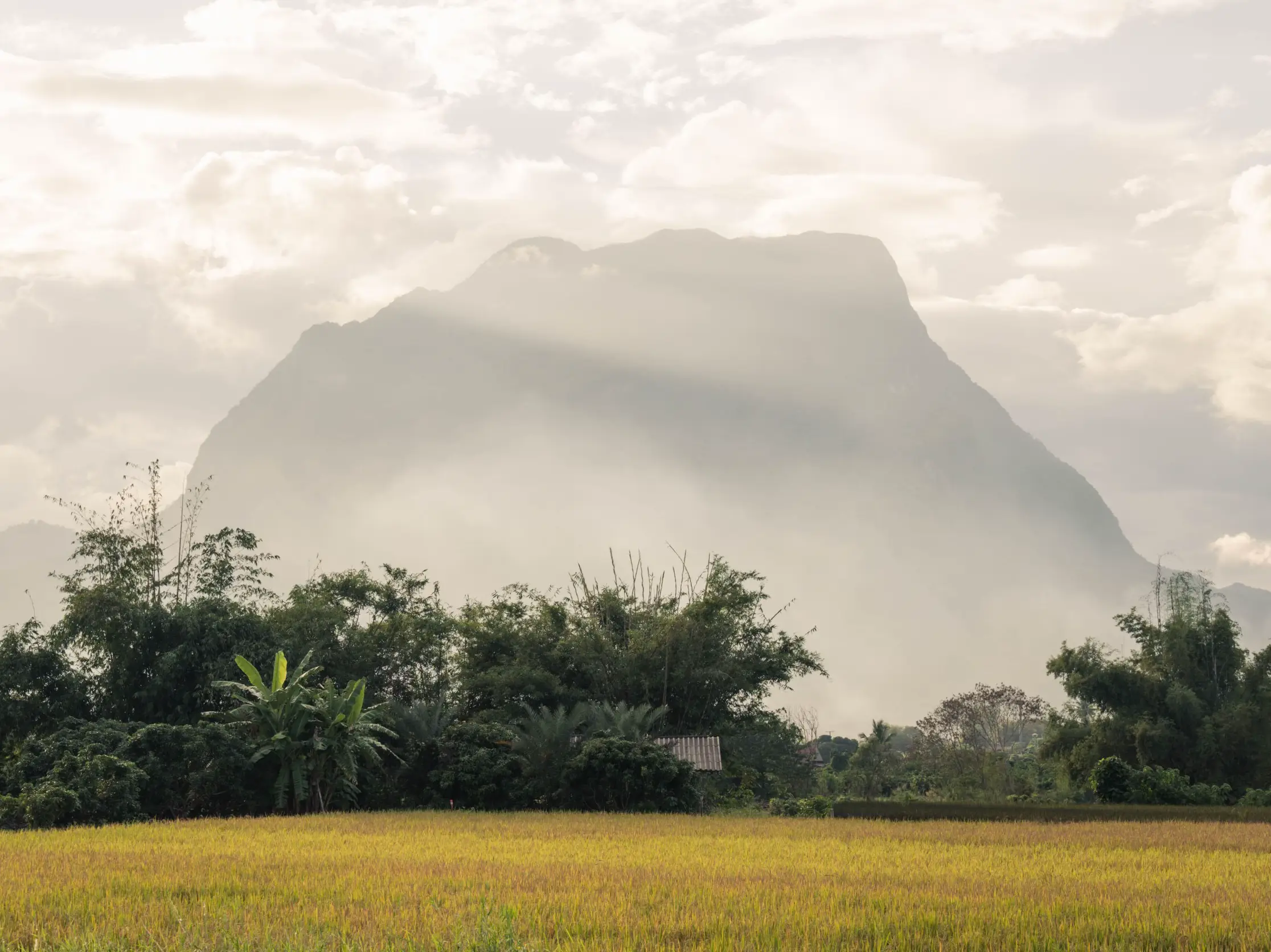 บ้านผ่อดอย กอยดาว | เชียงดาว | เชียงใหม่ | แกลเลอรีที่โพสต์โดย i am on cloud 9 | Lemon8