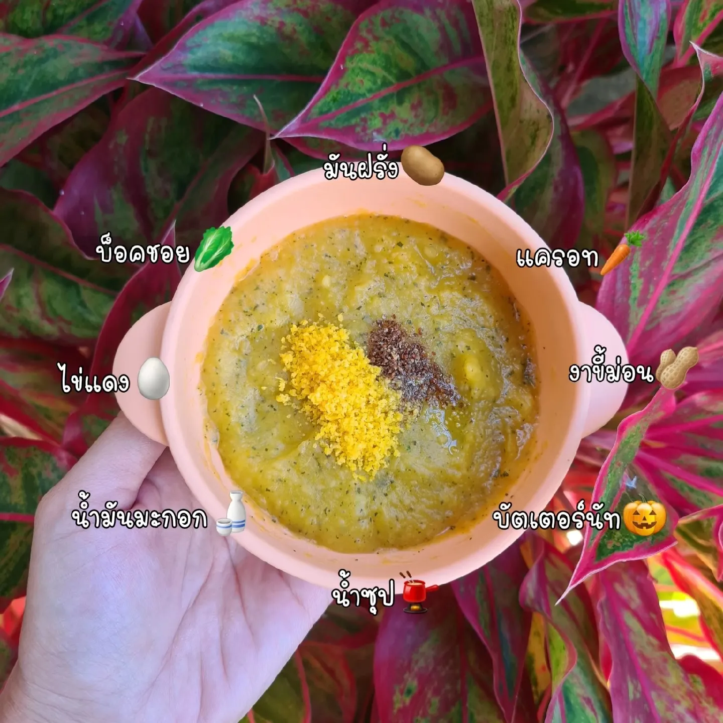 แชร์ไอเดียเมนูเด็ก 6 เดือนขึ้นไป🥦 | แกลเลอรีที่โพสต์โดย LA-WANder | Lemon8