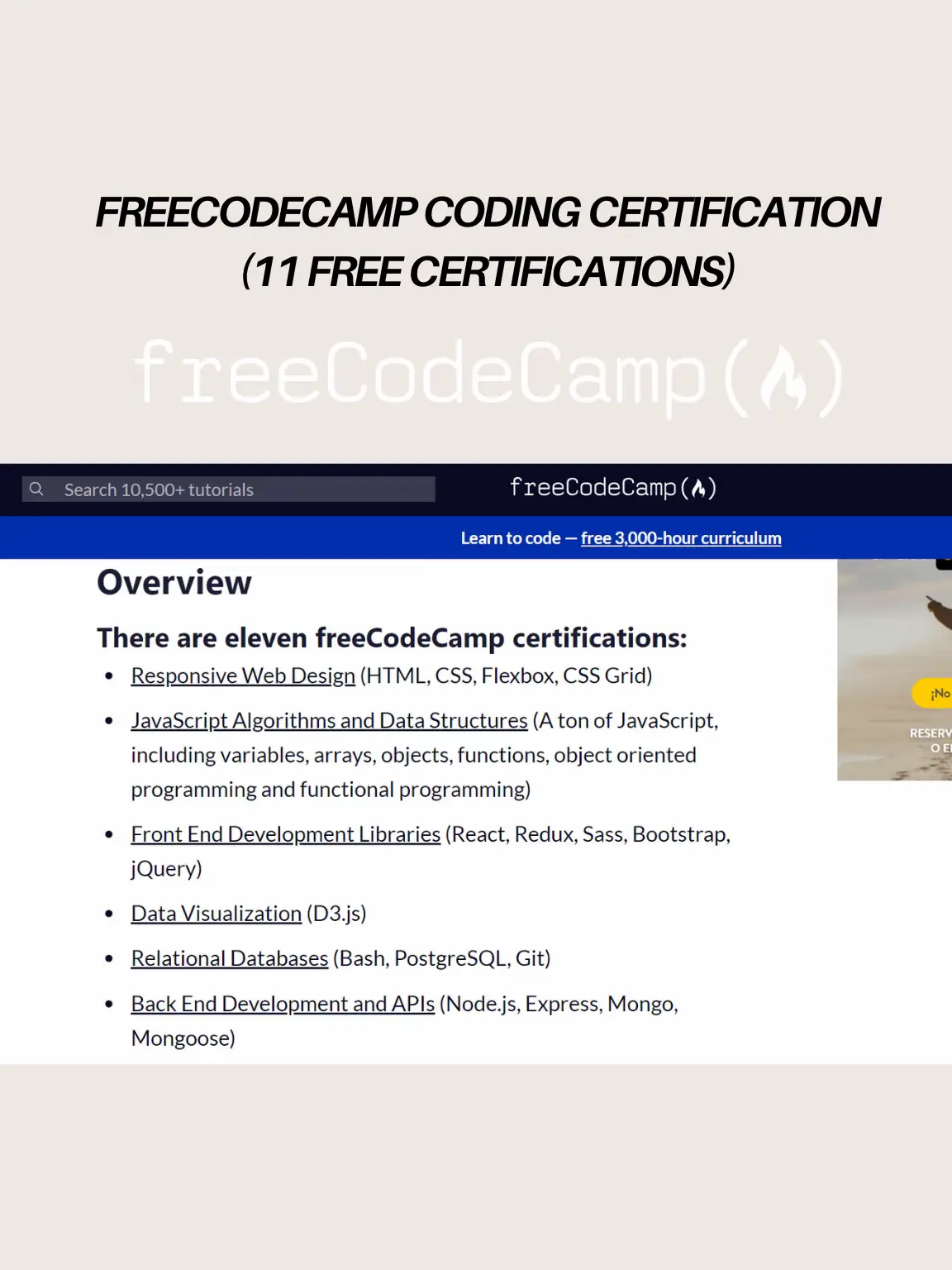 FREE online certifications to boost your resume 🚀 | Gallery posted by ...