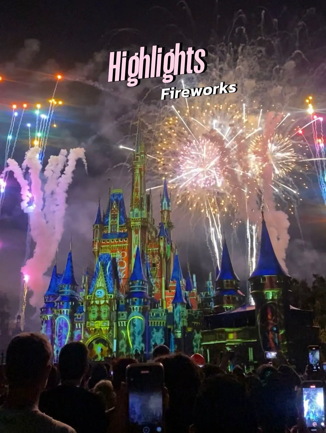 Disney World Review | Magic Kingdom Complete Collection in 1 Day🌍🌼 ...
