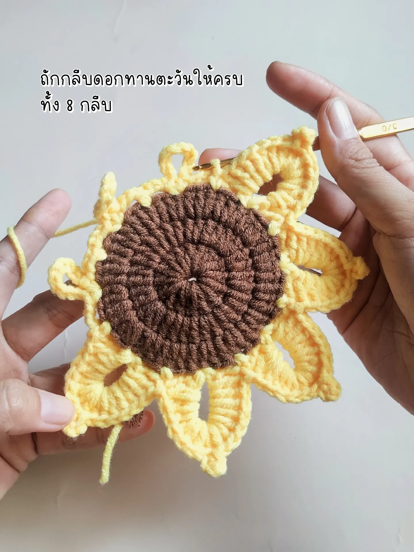 🌻 ชวนถักที่รองแก้วดอกทานตะวัน | แกลเลอรีที่โพสต์โดย LittleStitch | Lemon8