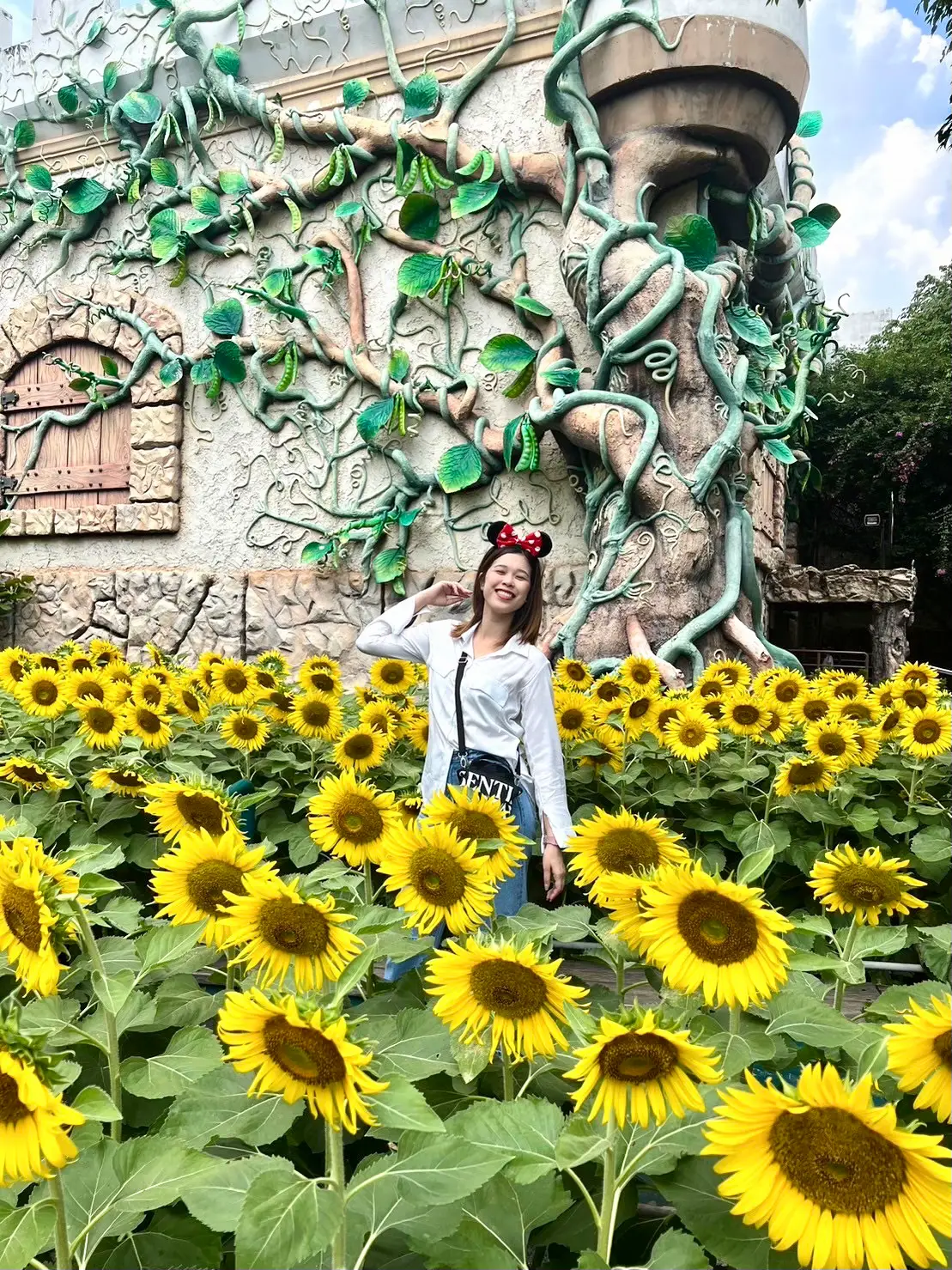 ดรีมเวิลด์ครั้งแรกในวัย 30 🍋 | แกลเลอรีที่โพสต์โดย Mind Mor | Lemon8