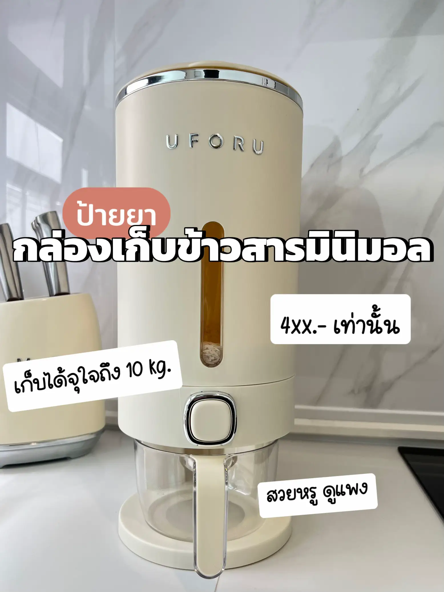 ชี้เป้า🌟 ถังเก็บข้าวสารเดี๋ยวนี้ต้องสวยขนาดนี้เลยเหรอ⁉️ | แกลเลอรีที่ ...