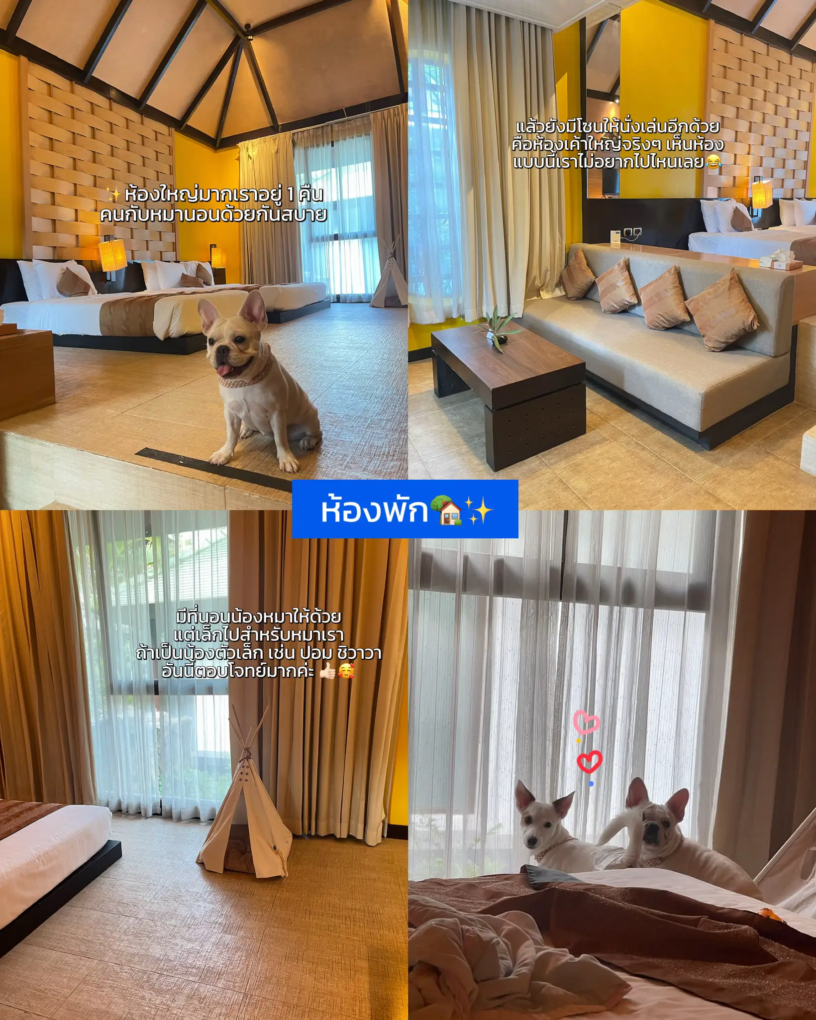 รีวิวที่พัก Pet Friendly at Pattaya งบ 2500 บ. | แกลเลอรีที่โพสต์โดย chibcuu 🥚⍤ | Lemon8