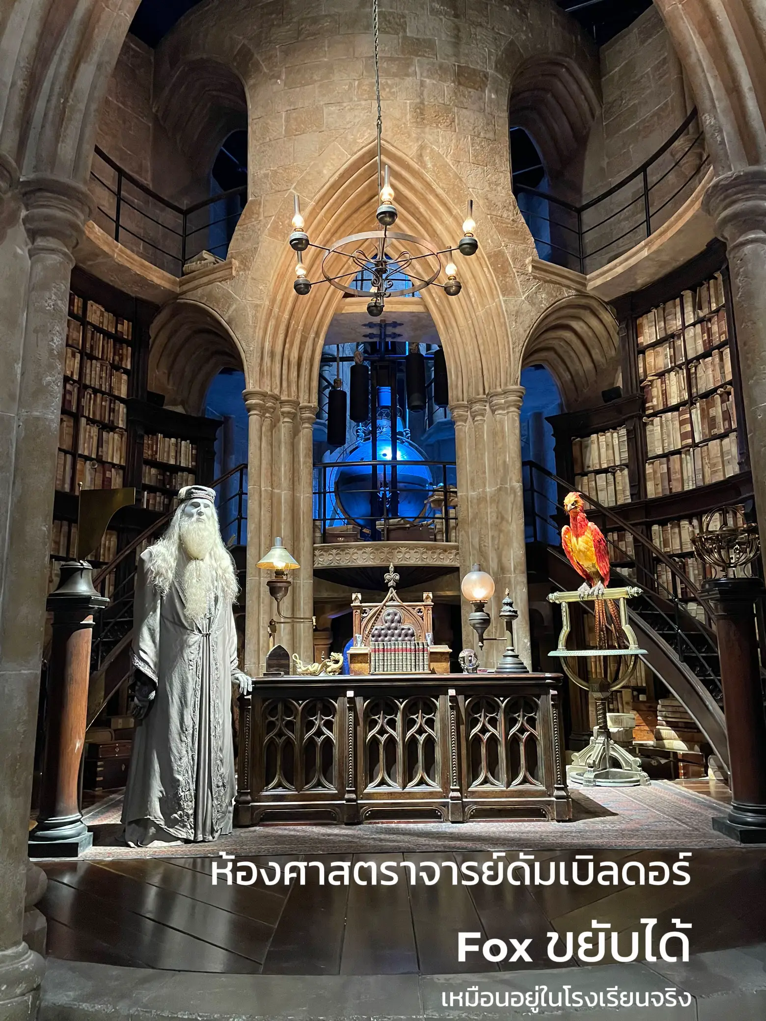 รีวิว Warner Bros. Studio TOKYO Part 1 | แกลเลอรีที่โพสต์โดย H!ppOr | Lemon8