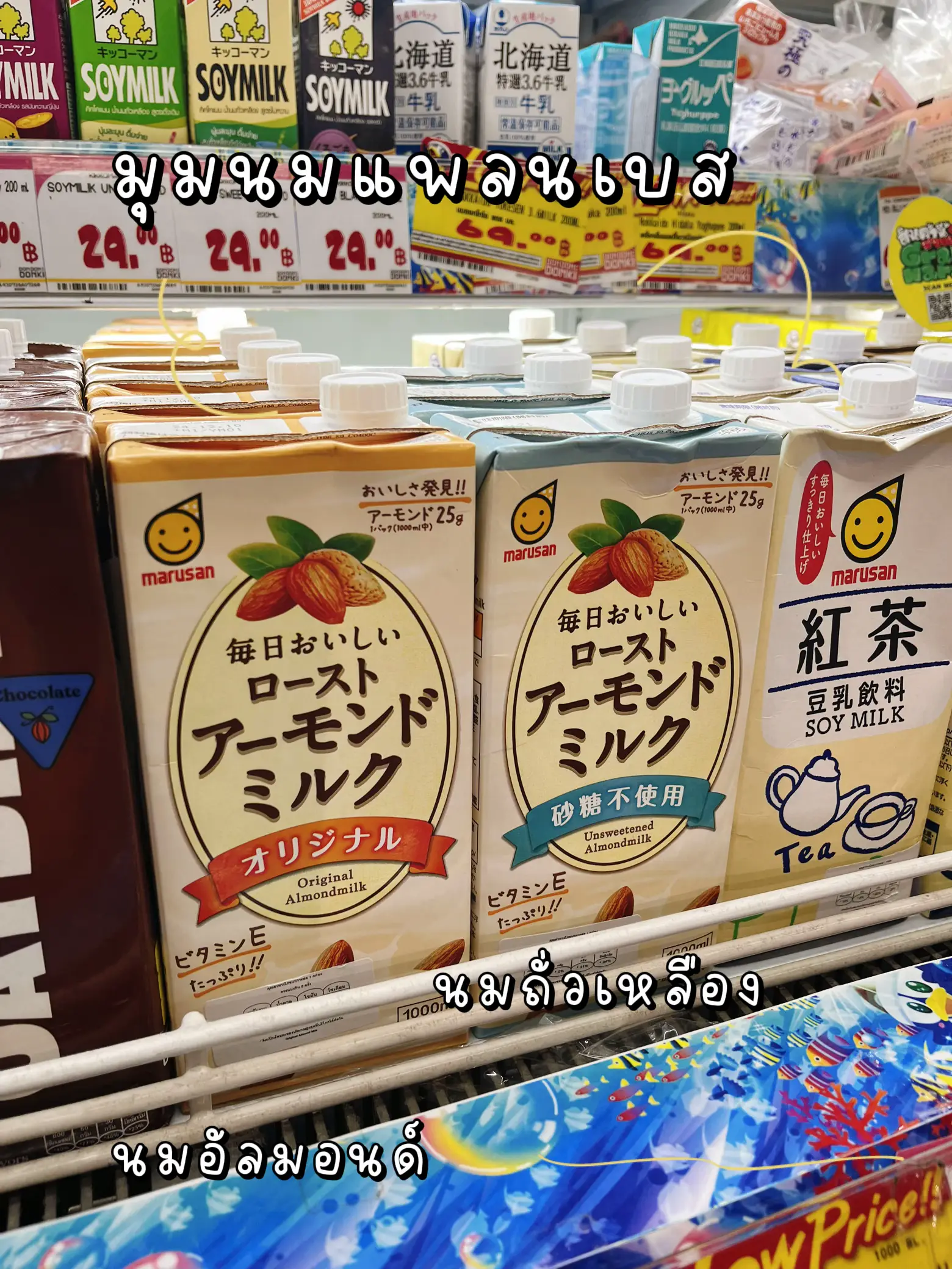 เข้าไปช็อป มุมอาหารสุขภาพใน DONGI THAILAND 🇯🇵🇹🇭 | แกลเลอรีที่โพสต์โดย ...