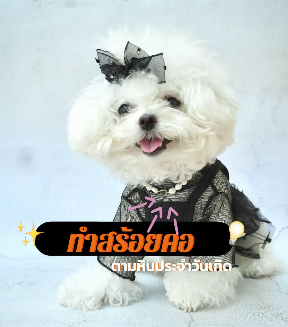 🔮ทำสร้อยตามหินประจำวันเกิด @Pacharee | แกลเลอรีที่โพสต์โดย หมาNami ...