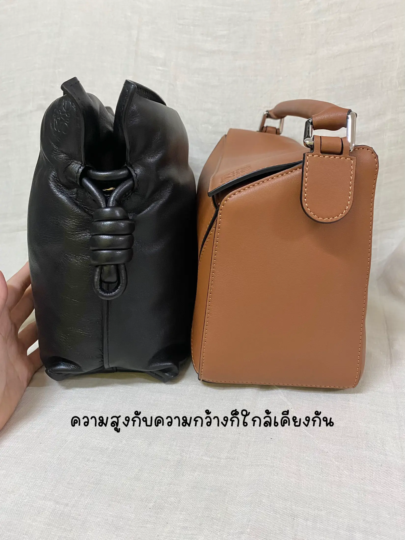 Mini review Loewe size comparison | แกลเลอรีที่โพสต์โดย pychpych | Lemon8