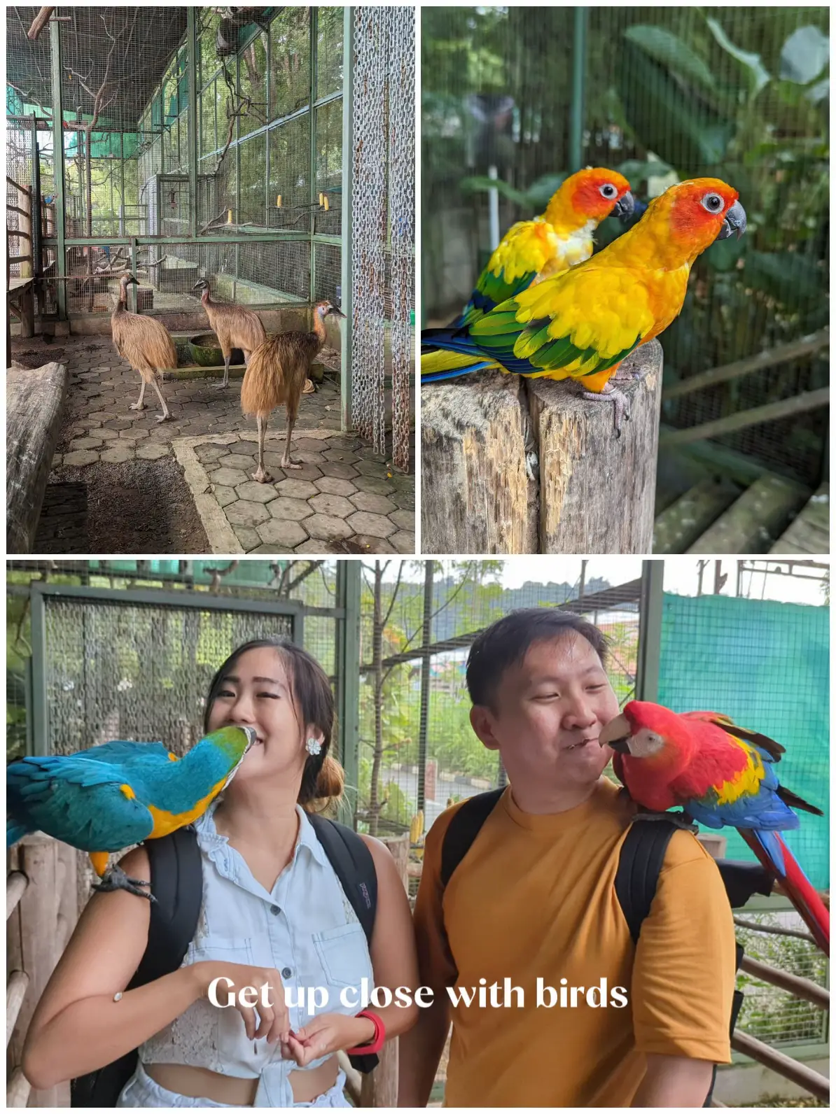 This is a must go for animal lovers! 🇮🇩 | Gallery posted by Jing Wei ...