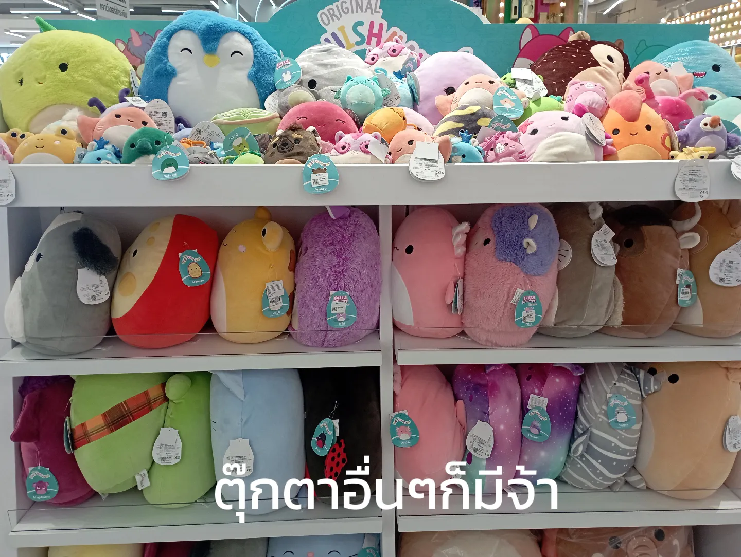 Betrend เดอะมอลล์บางกะปิ หลังรีโนเวท | แกลเลอรีที่โพสต์โดย Pangko | Lemon8