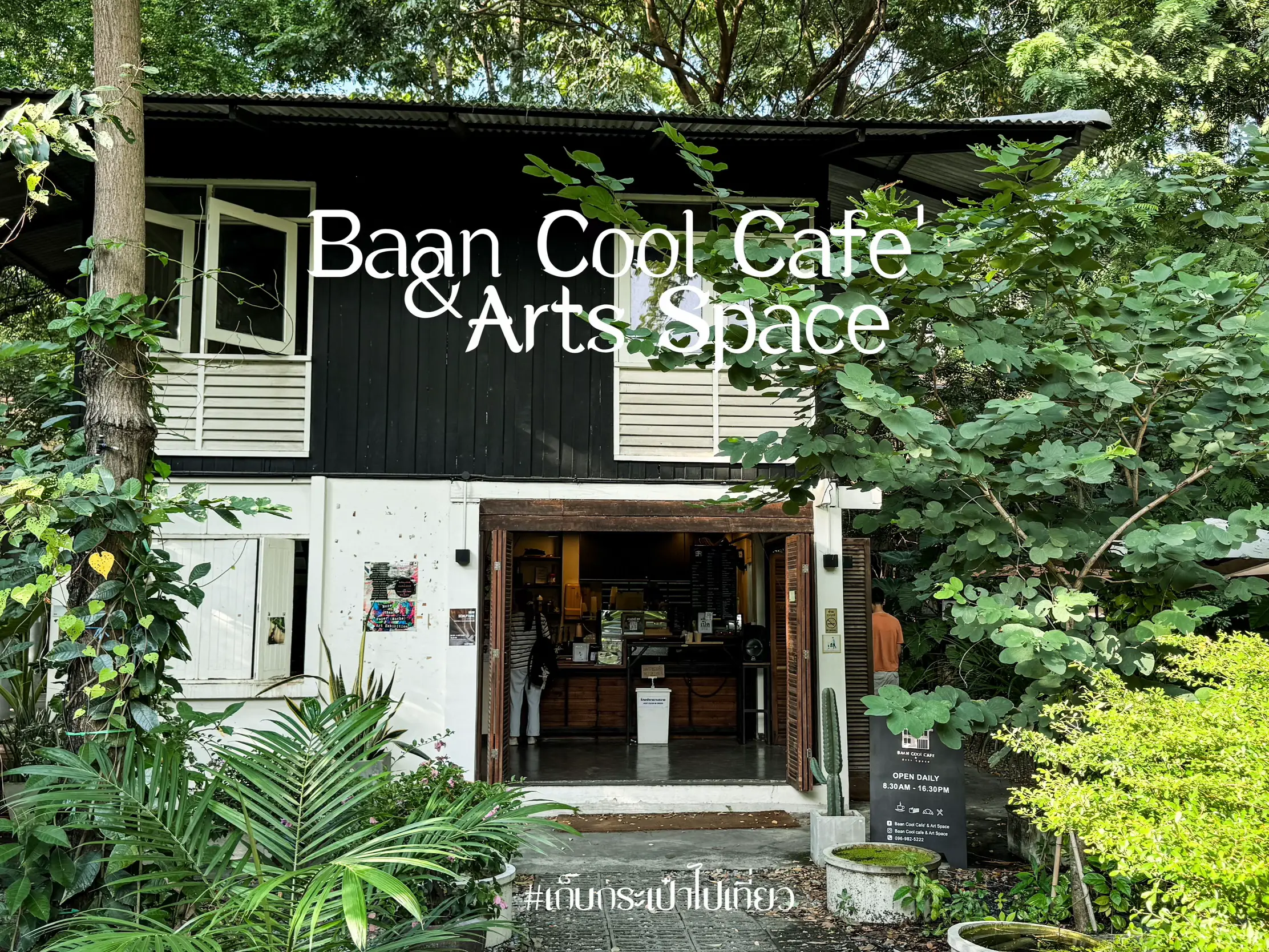Baan Cool Cafe’ & Arts Space | แกลเลอรีที่โพสต์โดย ติดเที่ยว | Lemon8