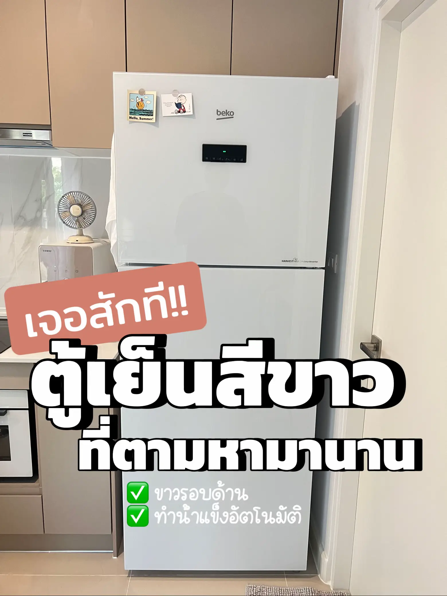 ตู้เย็นตัวมัม🥰 นี่แหละที่ตามหามานาน สวยด้วย ฟังชั่นครบ | แกลเลอรีที่ ...