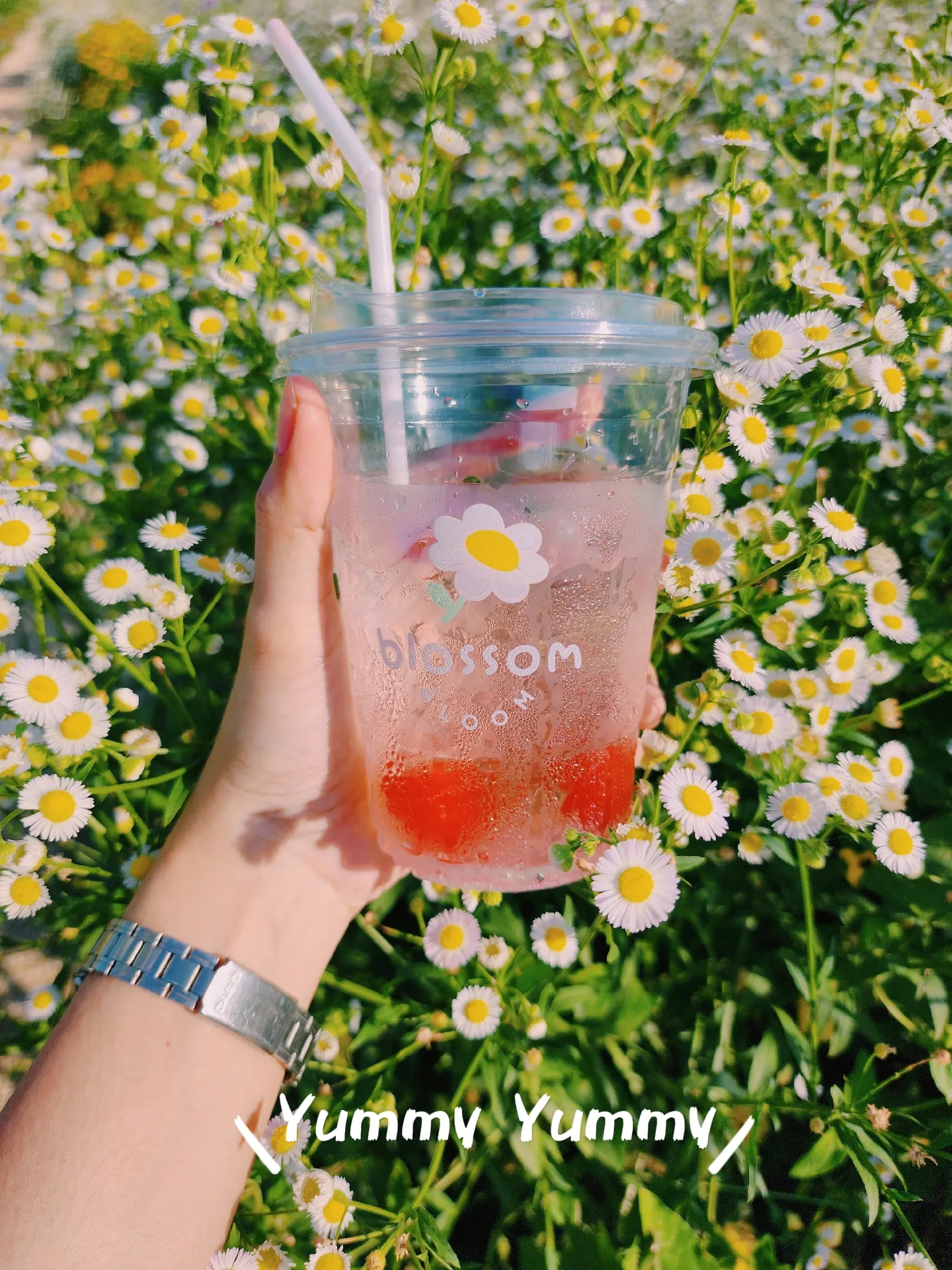 cafe khaoyai | แกลเลอรีที่โพสต์โดย Look Pla | Lemon8