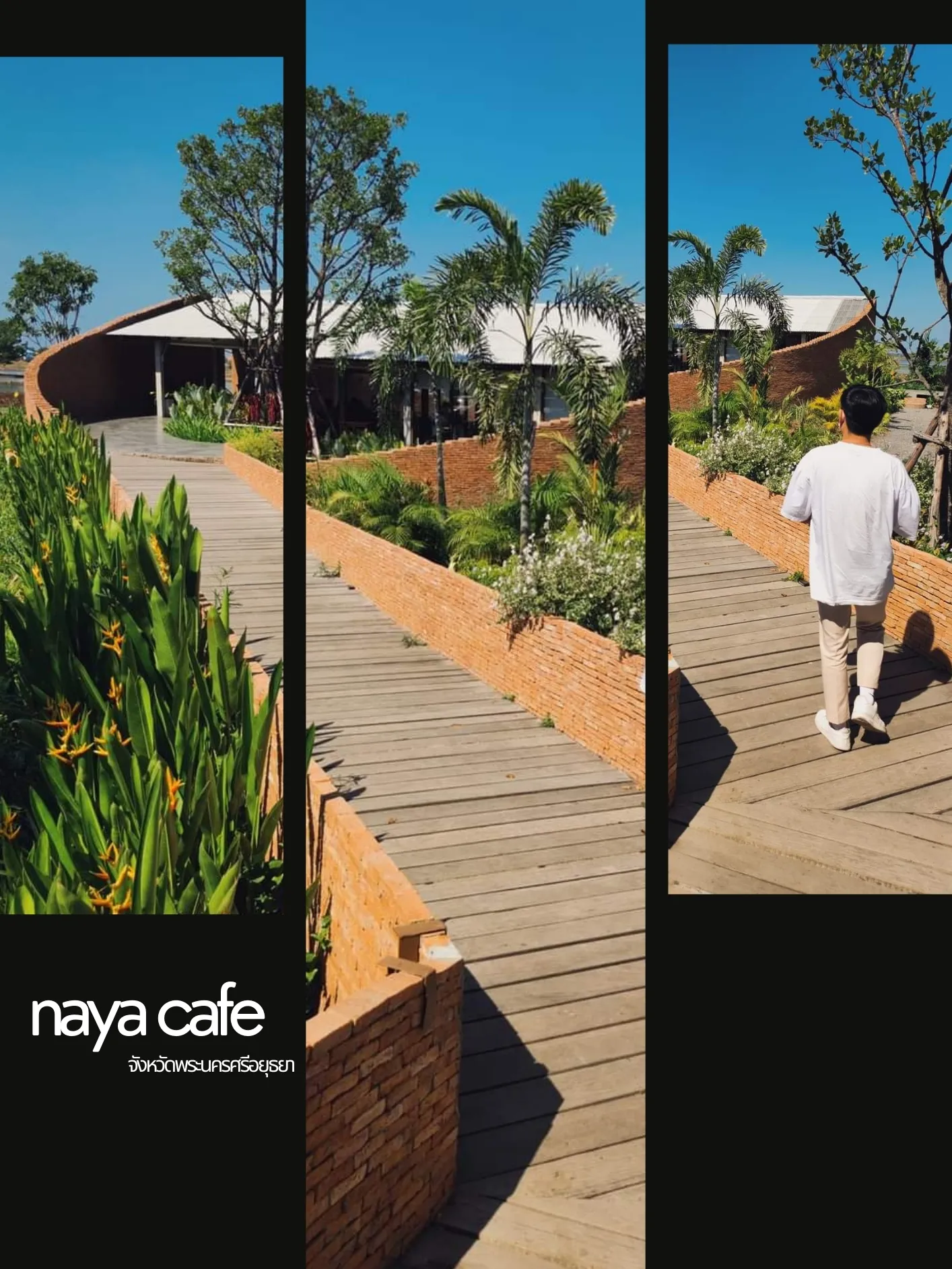 แวะถ่ายรูป คาเฟ่อยุธยา | แกลเลอรีที่โพสต์โดย ม่ะหมิว' aloha | Lemon8