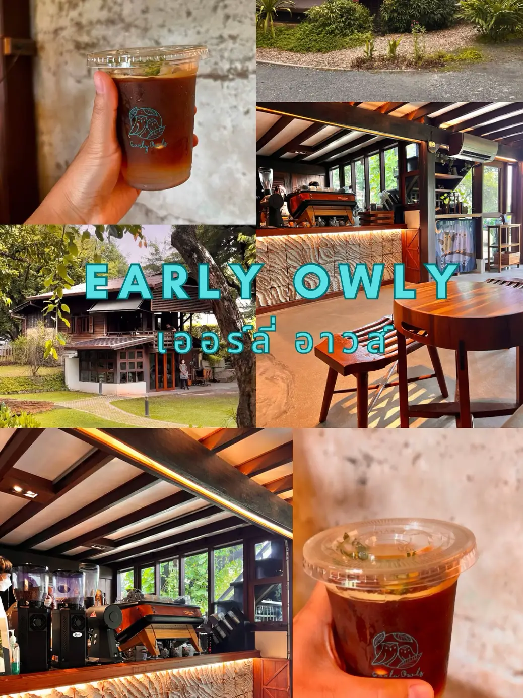 📍พิกัด : EARLY OWLS | Galeri disiarkan oleh เที่ยวคาเฟ่ | Lemon8