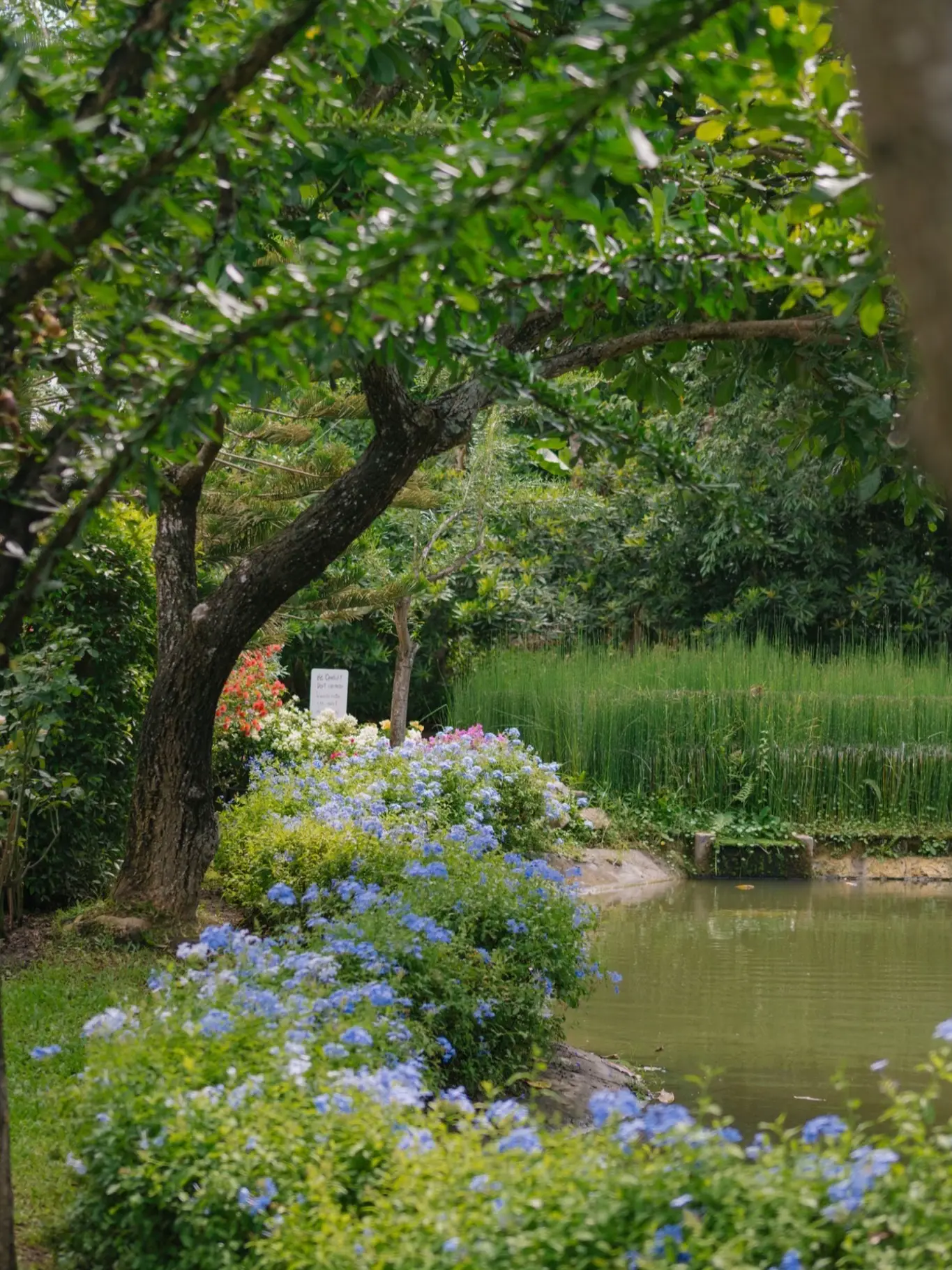 Purra x Fleur Cafe & Eatery คาเฟ่สวนดอกไม้ ₊💐˚⊹ | แกลเลอรีที่โพสต์โดย ...