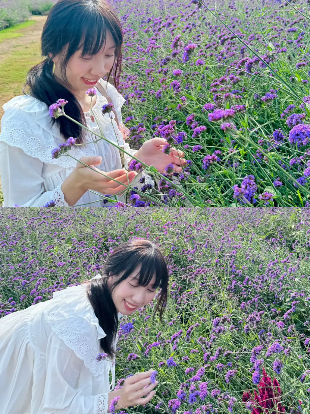 คาเฟ่ใหม่ | ทุ่งอยุธยา วิวดีสวนสวย ถ่ายรูปคุ้ม! | แกลเลอรีที่โพสต์โดย Ann Waran | Lemon8