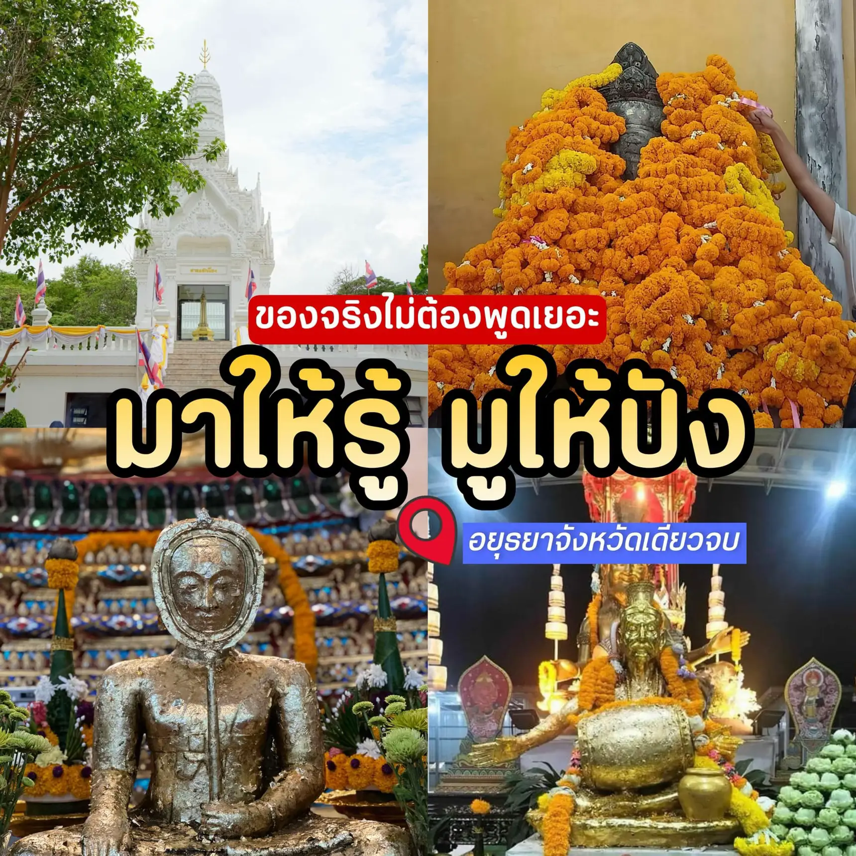 Come to know. Mu, bang. | Gallery posted by อยุธยาสเตชั่น | Lemon8