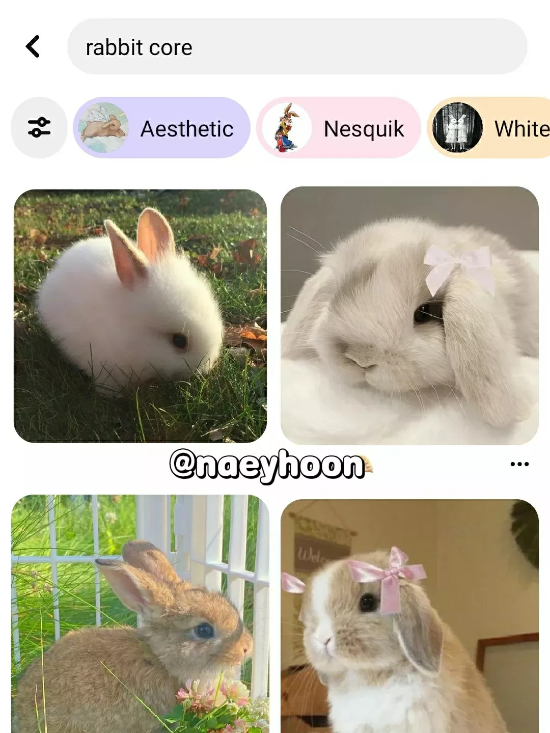 Pinterest Keyword Ver Core | แกลเลอรีที่โพสต์โดย 📚 ─ Inaa'j˚∘ | Lemon8