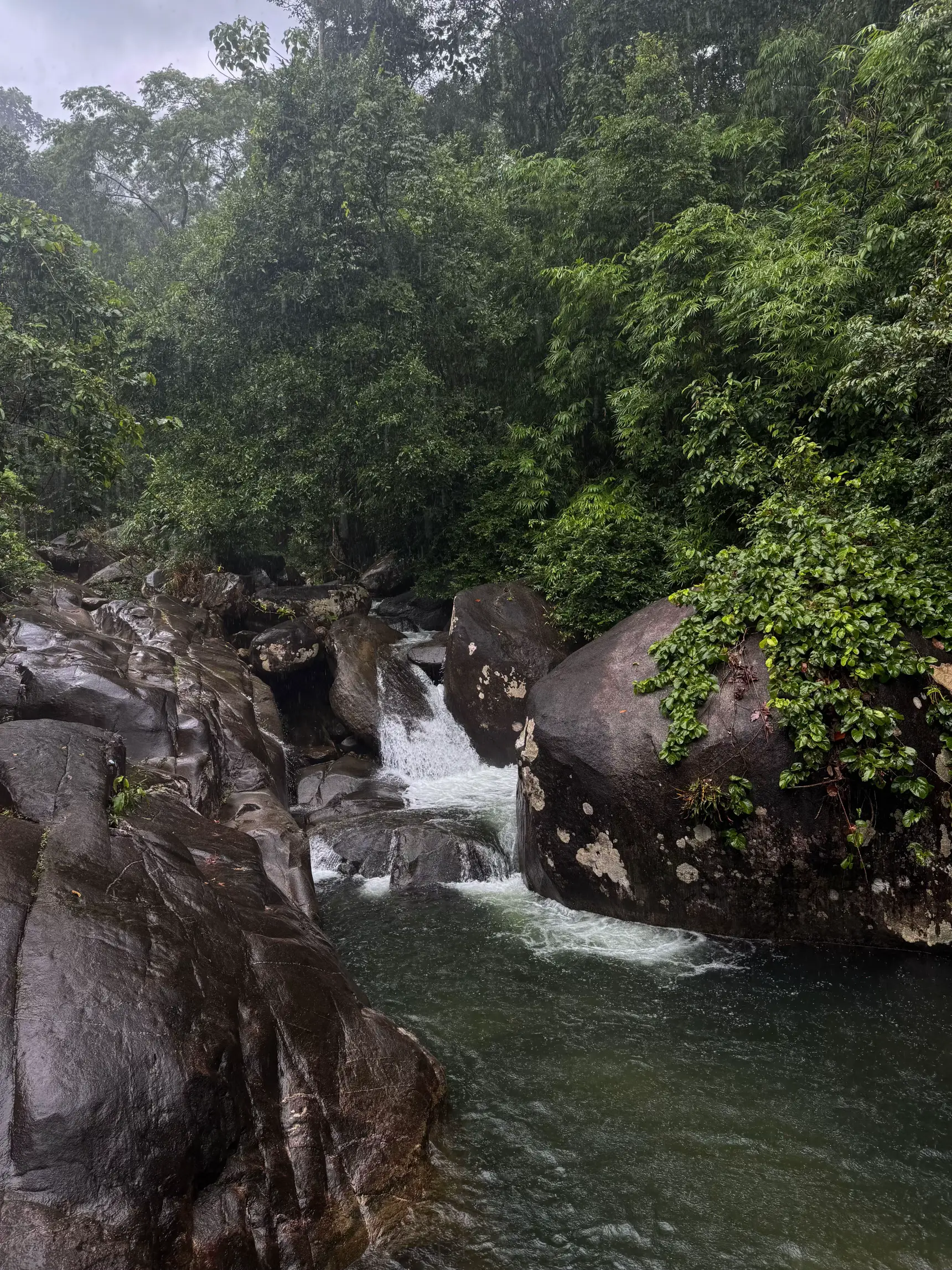 日帰り旅行、Khao Cha Mau Falls、Rayong Mon 🍃💚⛰️ | วิศวะพาเที่ยวが投稿したフォトブック ...