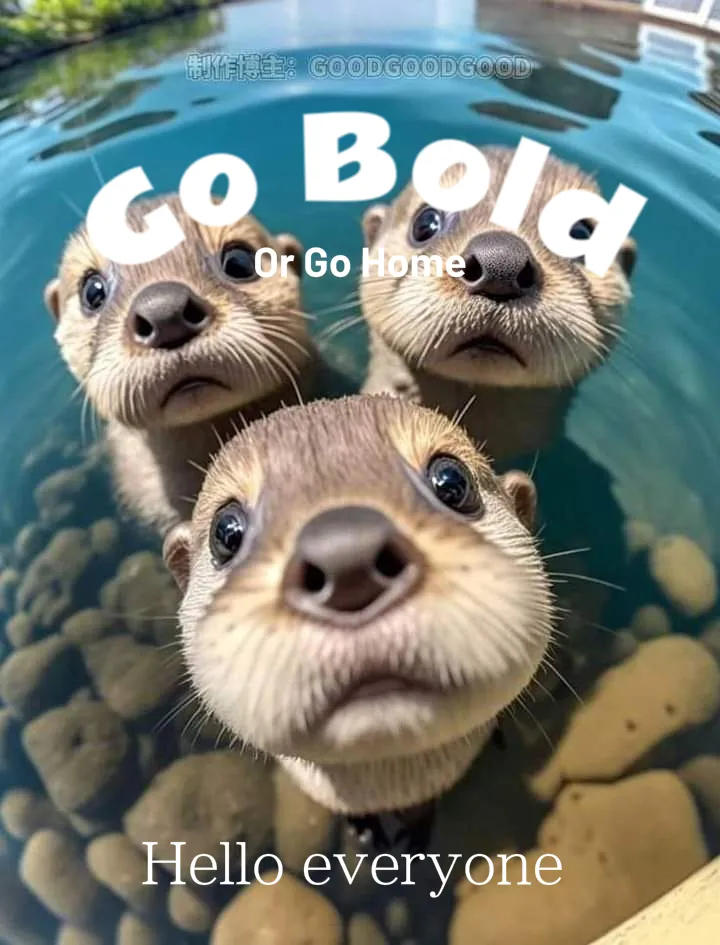 Hello everyone | Galeri disiarkan oleh Freddy James | Lemon8