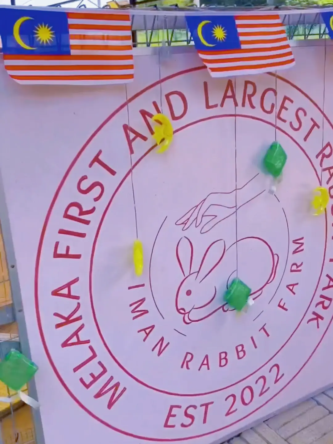 Rabbit Farm for The Kids! | Video diterbitkan oleh fila sha | Lemon8