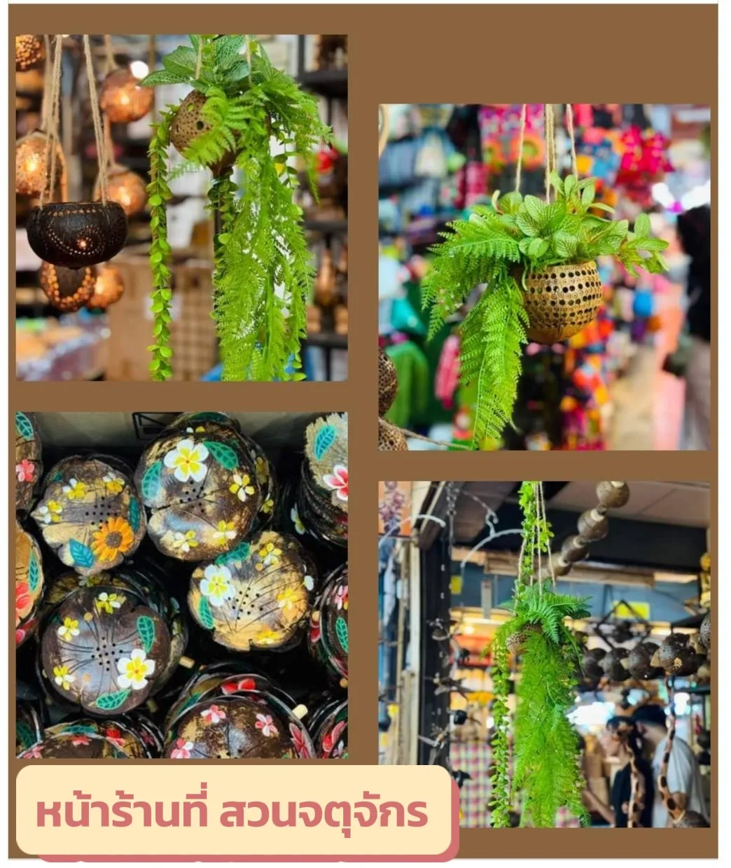 เพ้นท์จานกะลามะพร้าว | แกลเลอรีที่โพสต์โดย Rungnapa Yooray | Lemon8