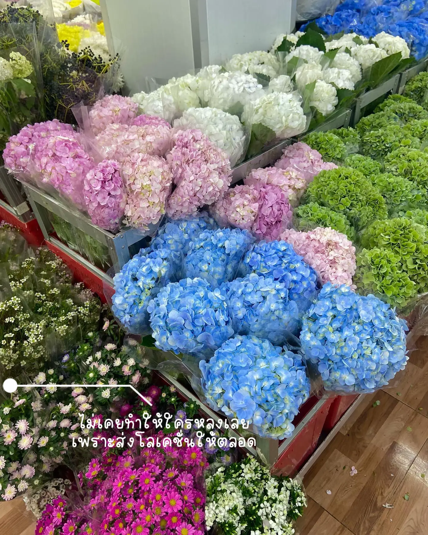 ปากคลองตลาด พร้อมแคปชั่นน่ารัก 💐 | แกลเลอรีที่โพสต์โดย Mook Patcha | Lemon8