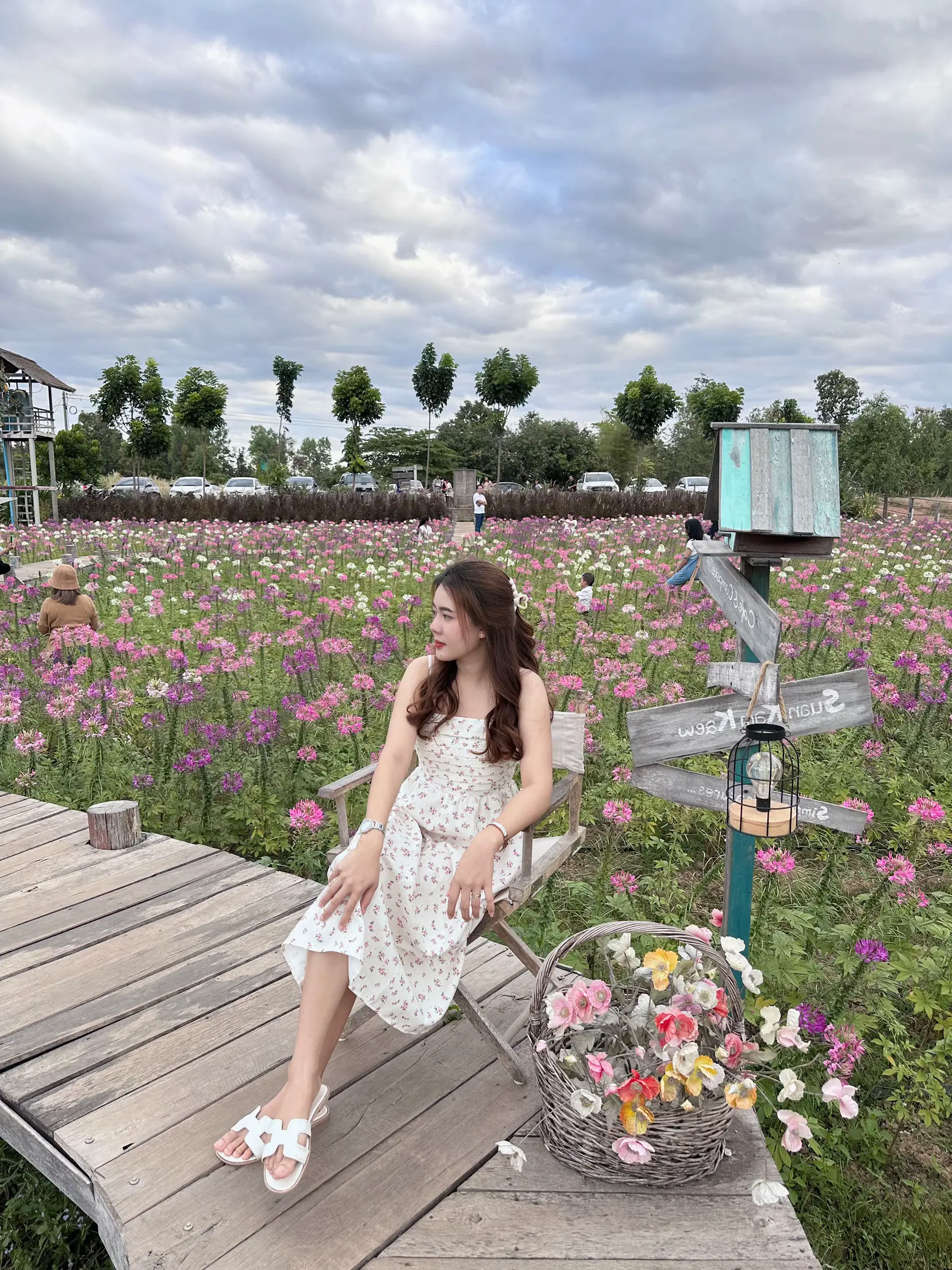 #คาเฟ่นครพนม | แกลเลอรีที่โพสต์โดย Bee Bee | Lemon8