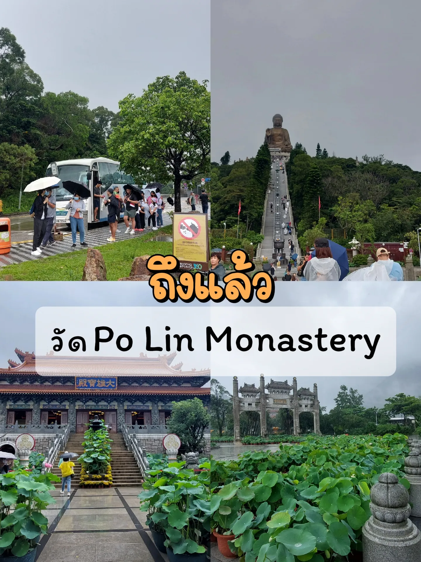 เดินทางไปวัดหลินฟ้า - การค้นหาใน Lemon8