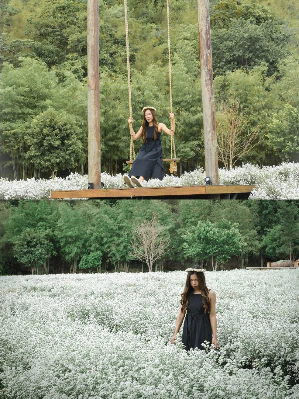 Cutter flower | CHAN nature cafe' ทุ่งคัตเตอร์ กาญ | แกลเลอรีที่โพสต์โดย Ploy Kun | Lemon8