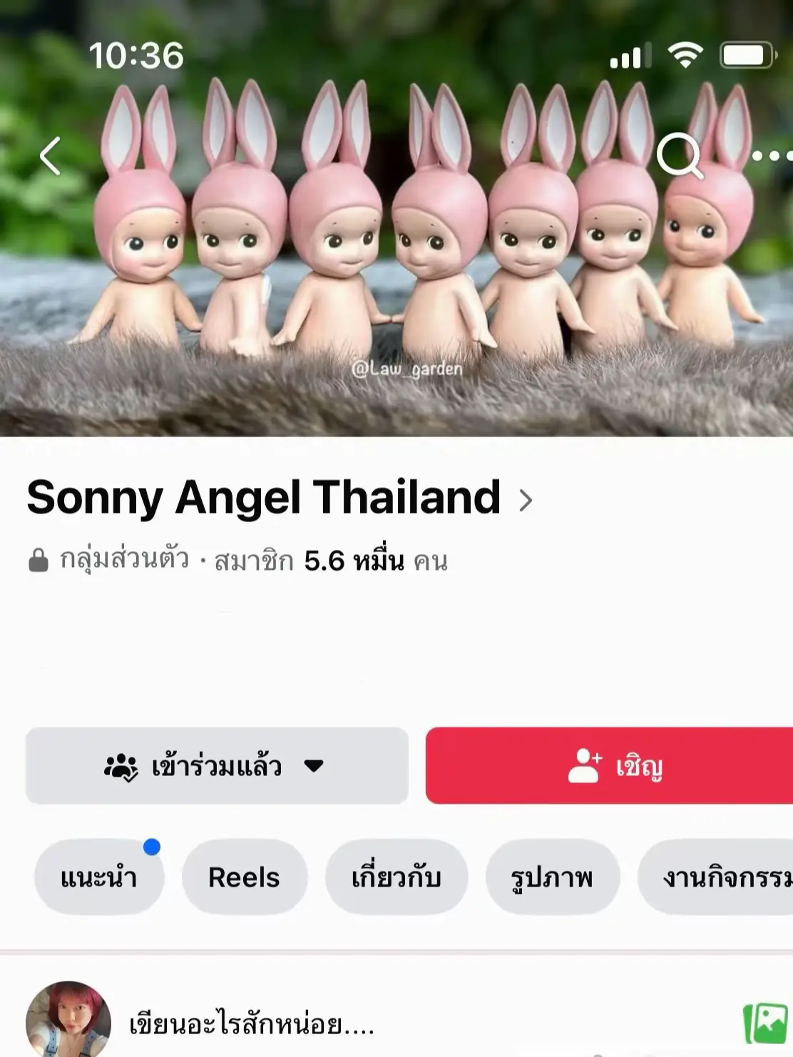 ﾟﾟ 。 แจกพิกัด sonny angel hipper 🛼💘 ของแท้ ราคาดี ! 🧺 | แกลเลอรีที่โพสต์โดย pure | Lemon8