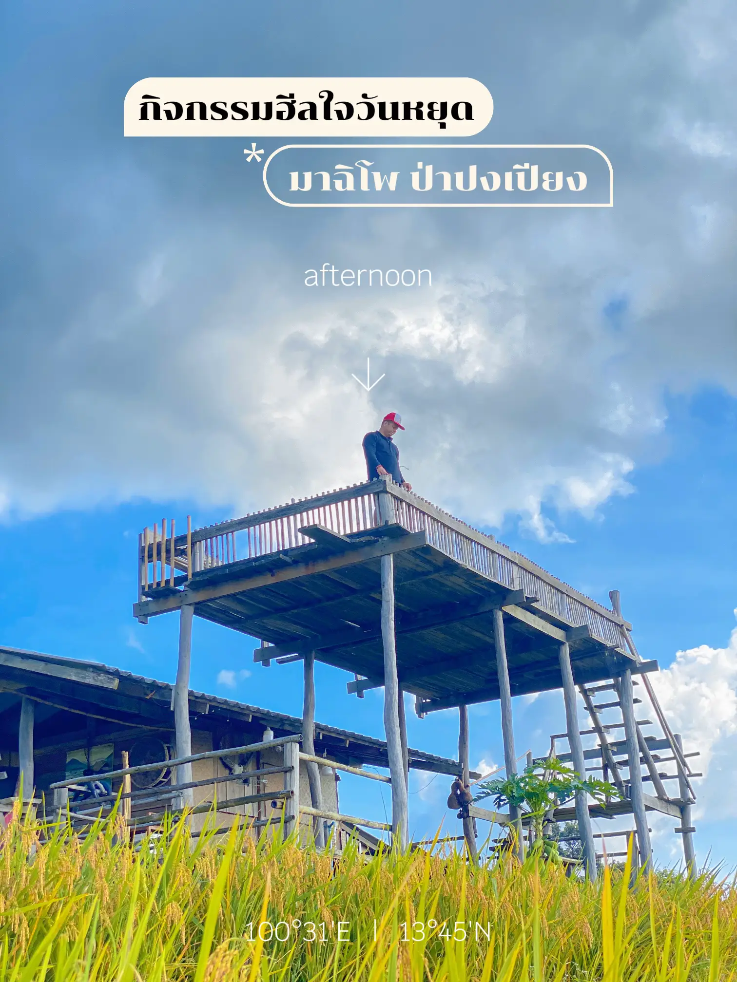 มาฉิโพ ป่าปงเปียง | แกลเลอรีที่โพสต์โดย Dear | Lemon8