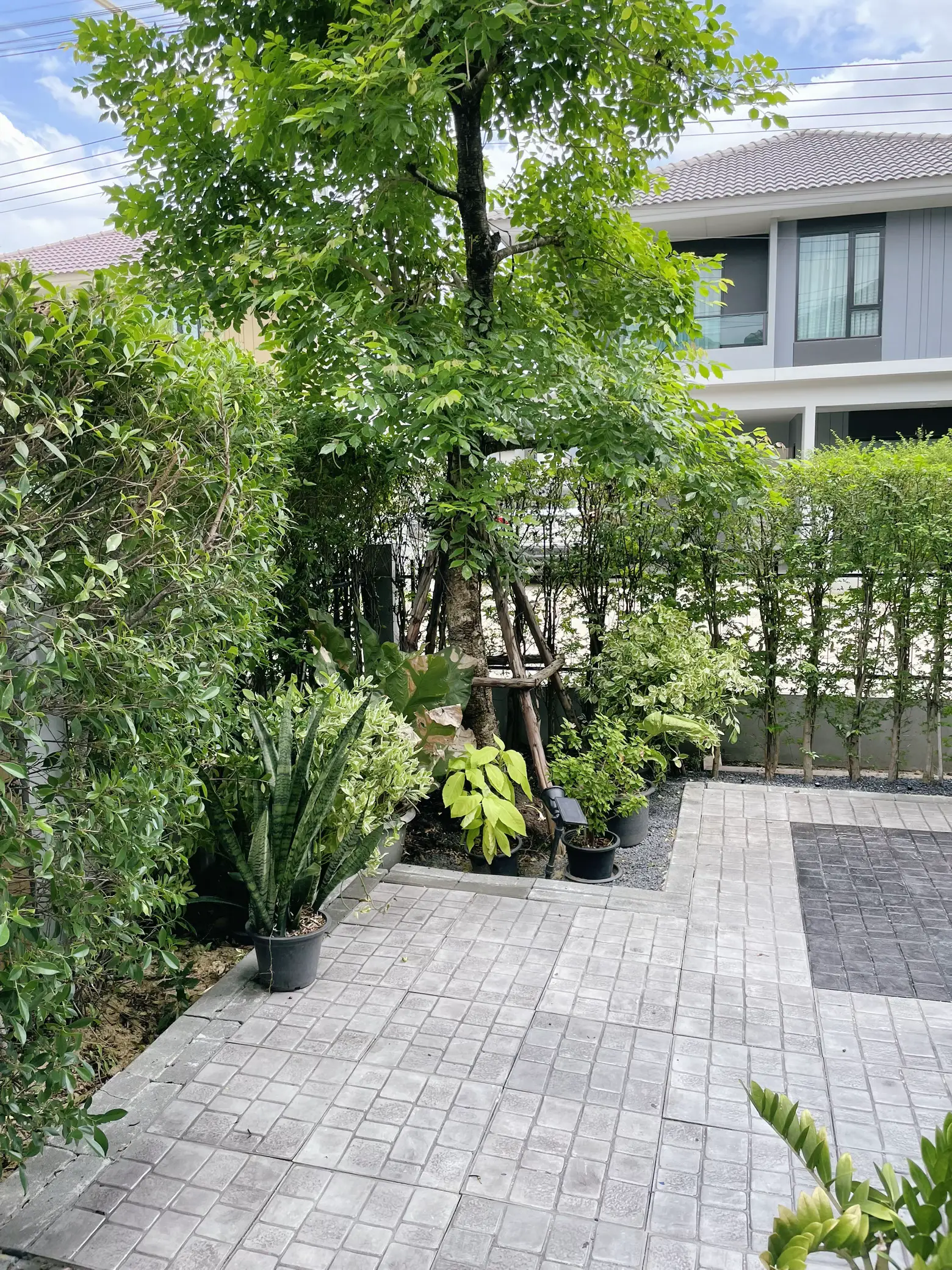 แจกไอเดียปูแผ่นทางเดินSCG Blue sea | แกลเลอรีที่โพสต์โดย ษรีมีเรื่อง ...