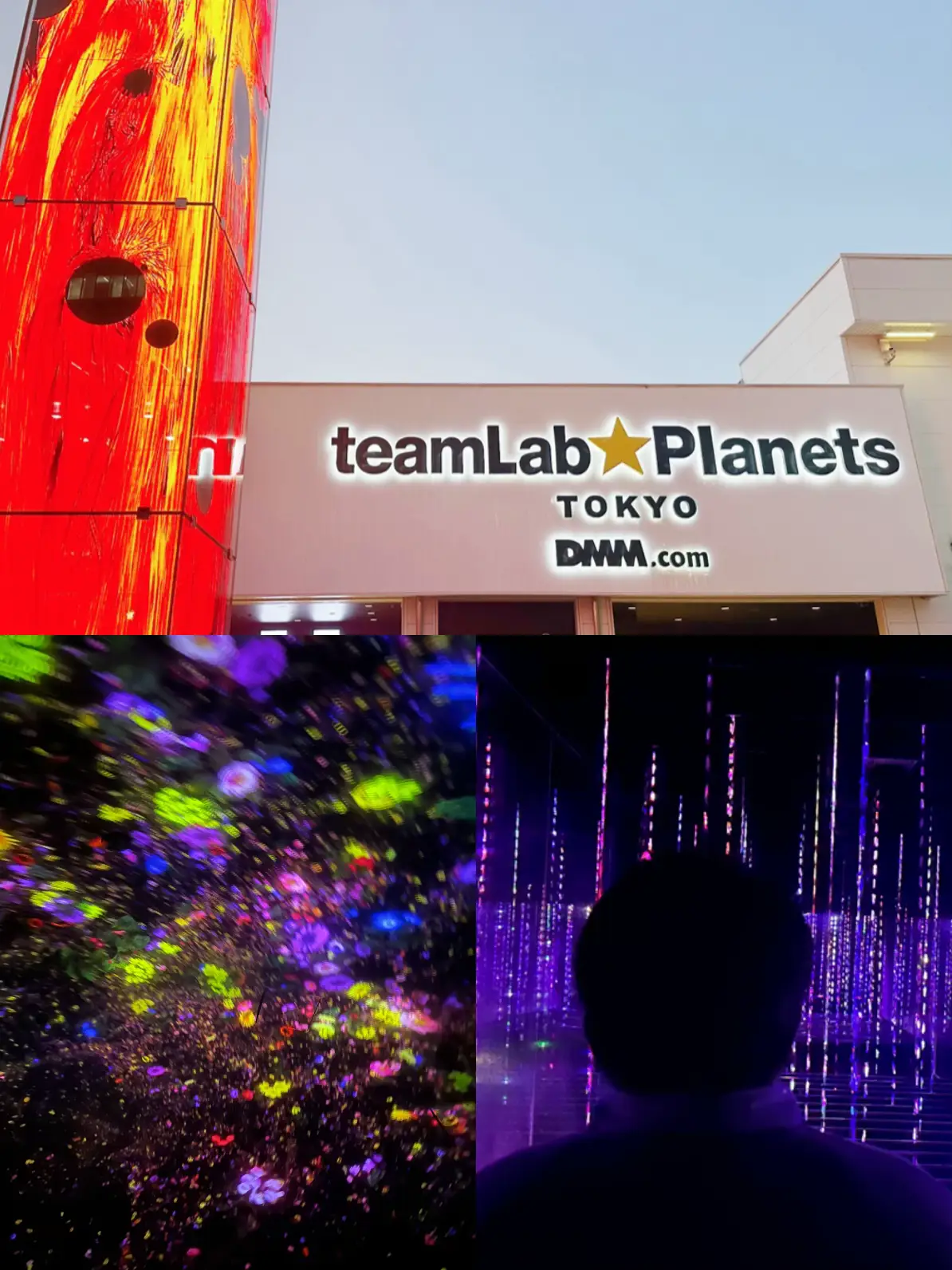 teamLab Planet Tokyo ไปดีมั้ย คุ้มรึเปล่า 🌸 | แกลเลอรีที่โพสต์โดย ...
