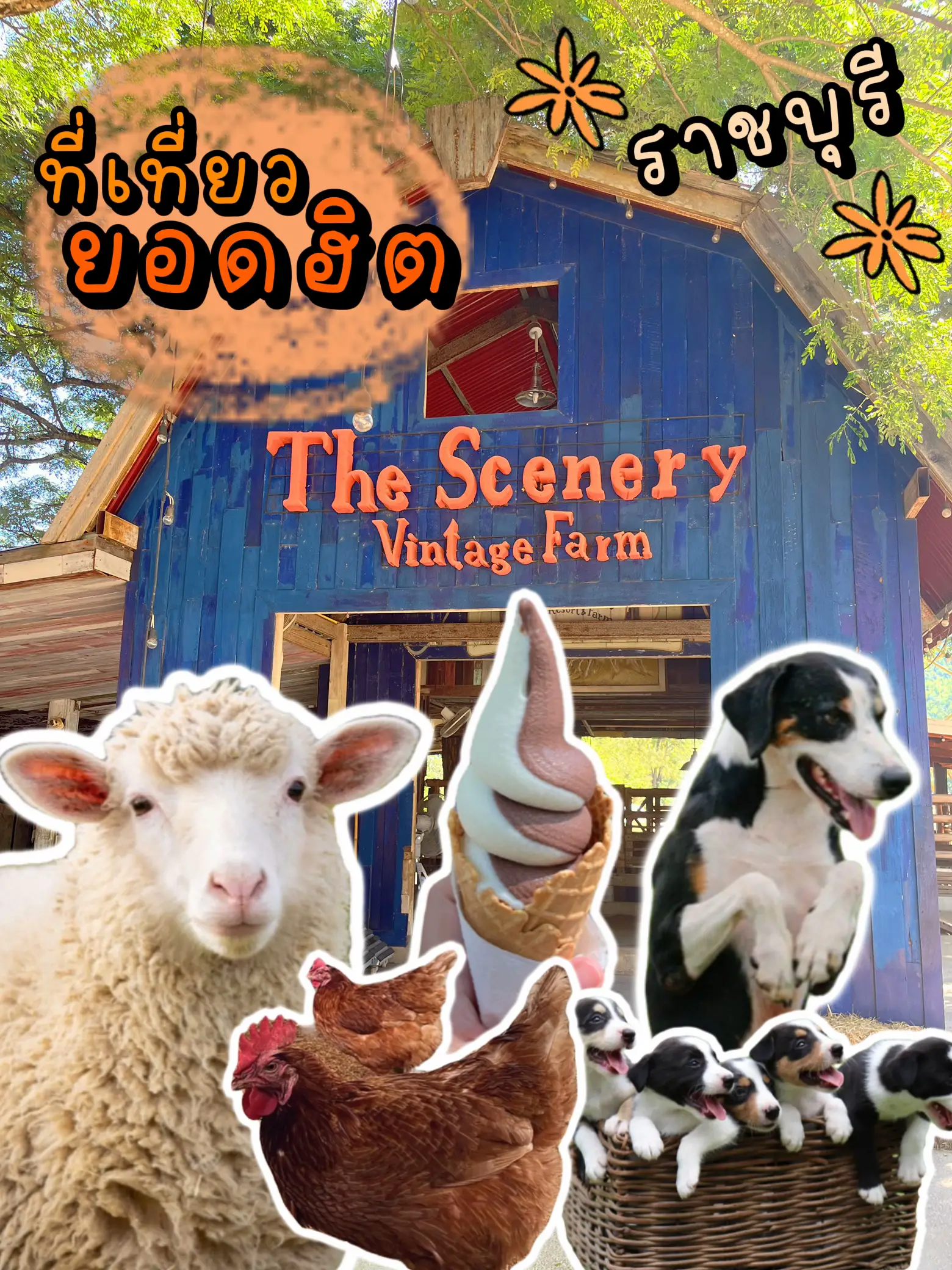 พาเที่ยวฟาร์มวันเด็ก scenery vintage farm ราชบุรี | แกลเลอรีที่โพสต์โดย ...