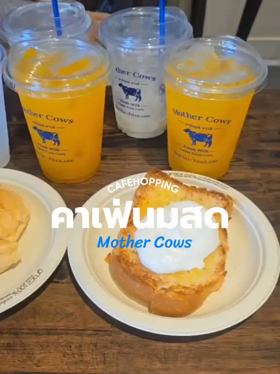 Mother cows คาเฟ่นมสด @หาดใหญ่ | วิดีโอที่เผยแพร่โดย omsin.ttr | Lemon8