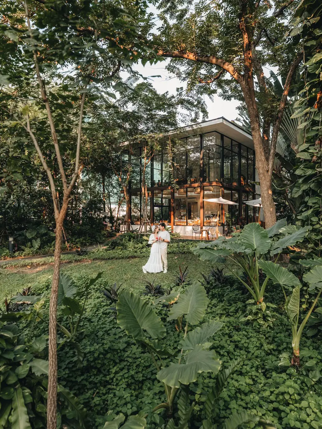 MiVana Organic Forest Coffee | แกลเลอรีที่โพสต์โดย Lazy Coup | Lemon8