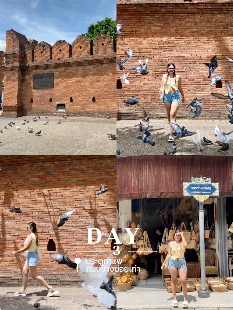 Chiang Mai 2023 | แกลเลอรีที่โพสต์โดย Fan | Lemon8