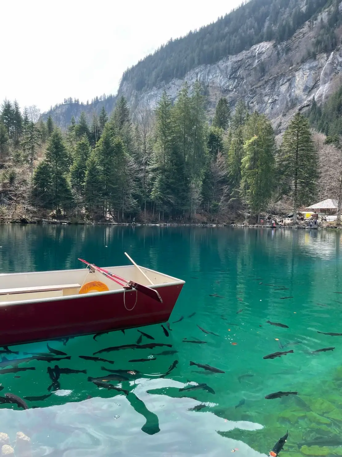 สักครั้งในชีวิตต้องไป! Blausee ,Switzerland🇨🇭 | แกลเลอรีที่โพสต์โดย ...