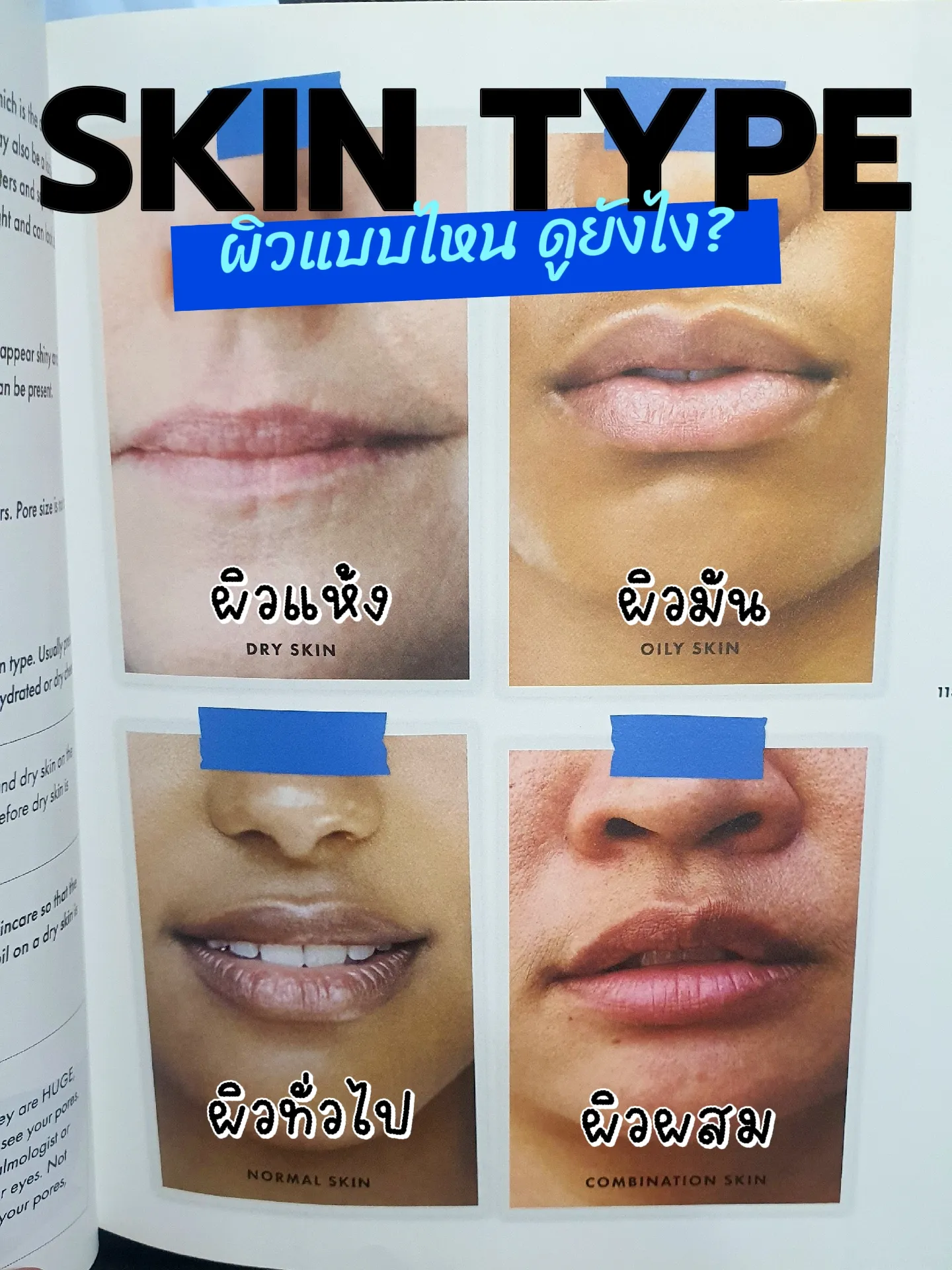 รู้จัก Skin Type 4 แบบ ต่างยังไง? ผิวเราเป็นแบบไหน | แกลเลอรีที่โพสต์ ...