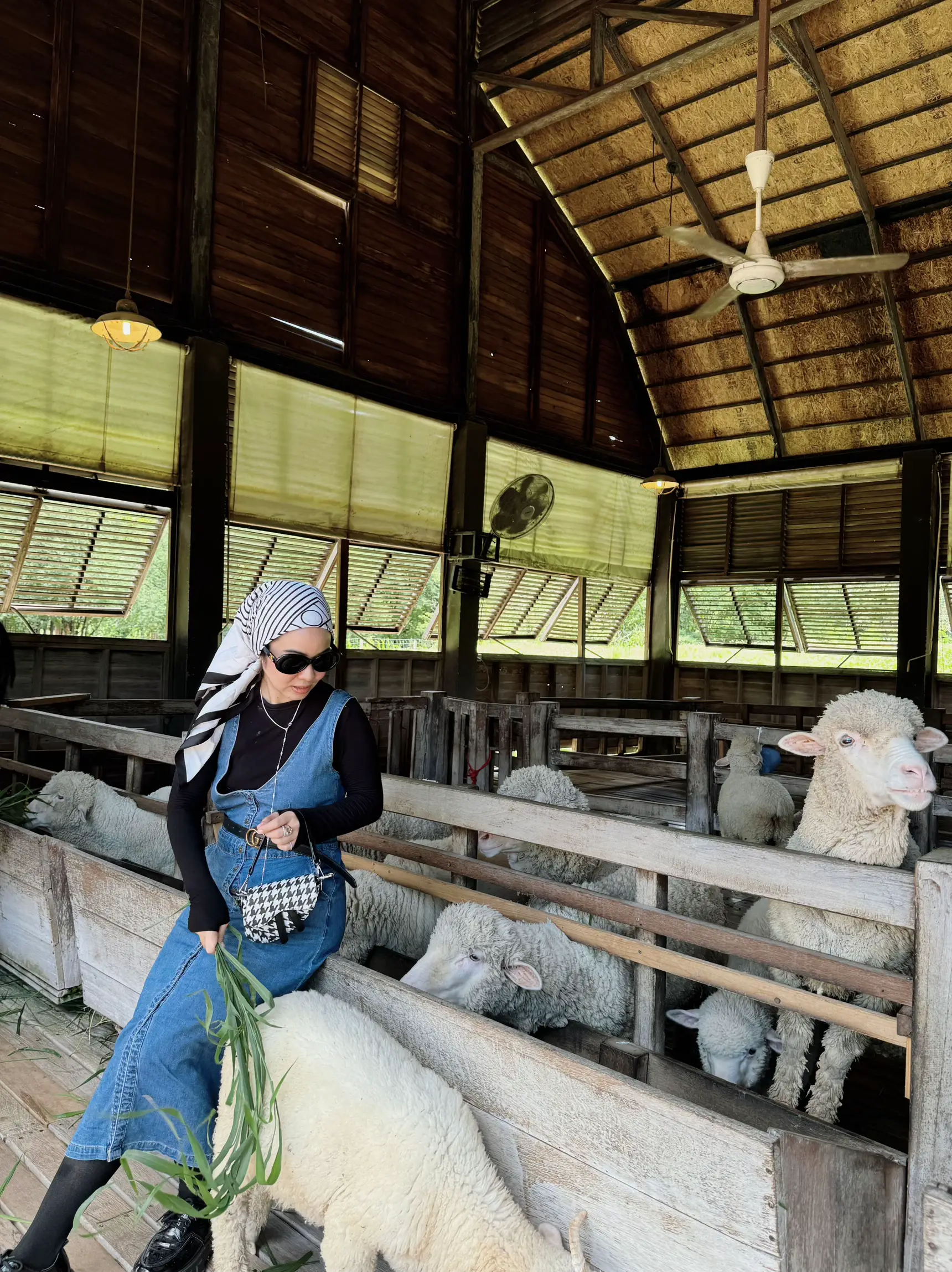 (อิตาลีอินไทยแลนด์⛰️) | แกลเลอรีที่โพสต์โดย Mareena.Styles | Lemon8