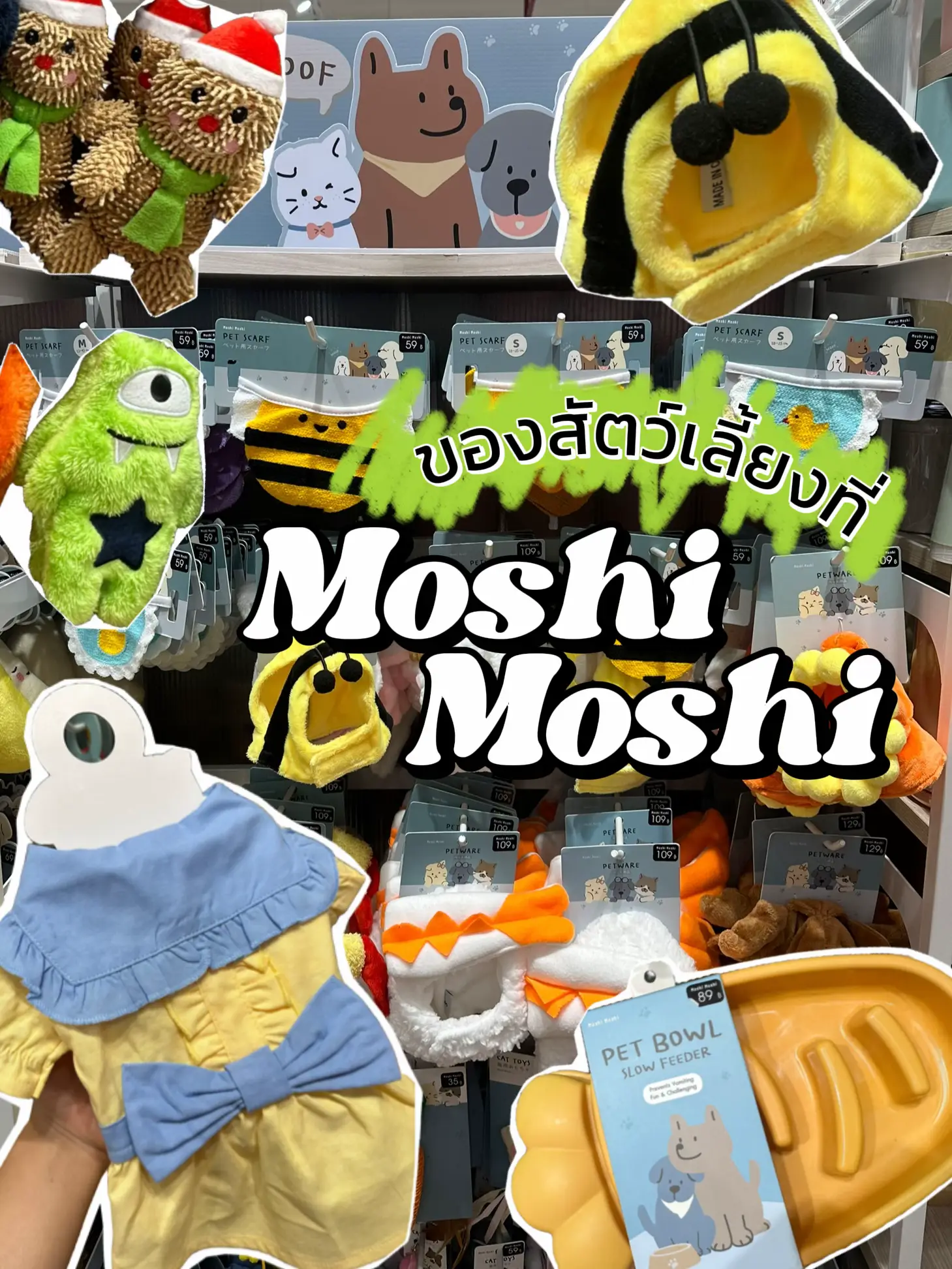 📍พิกัดของใช้สัตว์เลี้ยง ที่ Moshi Moshi 🐶🐱🐹🐰 | แกลเลอรีที่โพสต์โดย Mntp ...