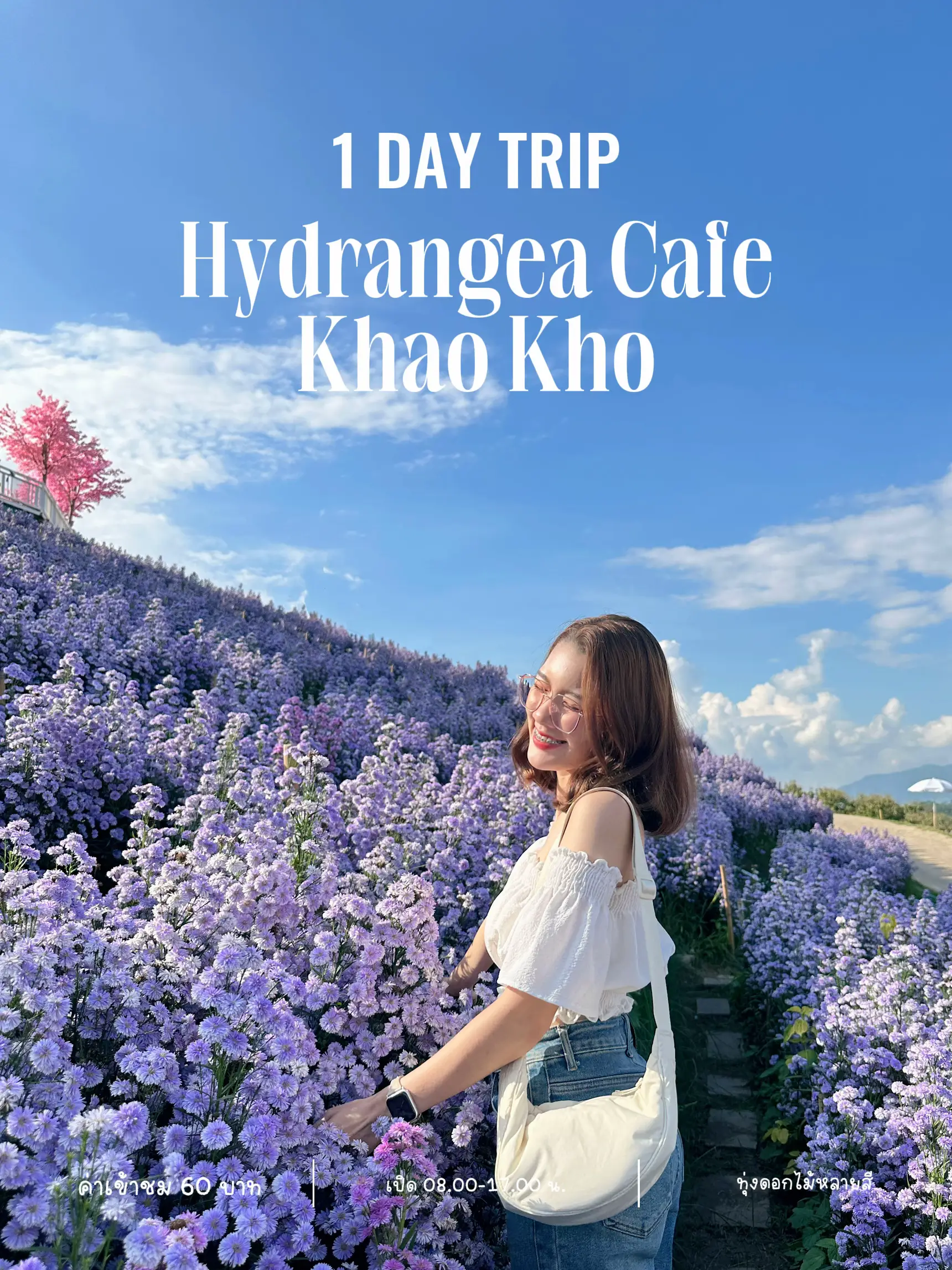 Hydrangea Cafe @Khao Kho | แกลเลอรีที่โพสต์โดย Gygee | Lemon8