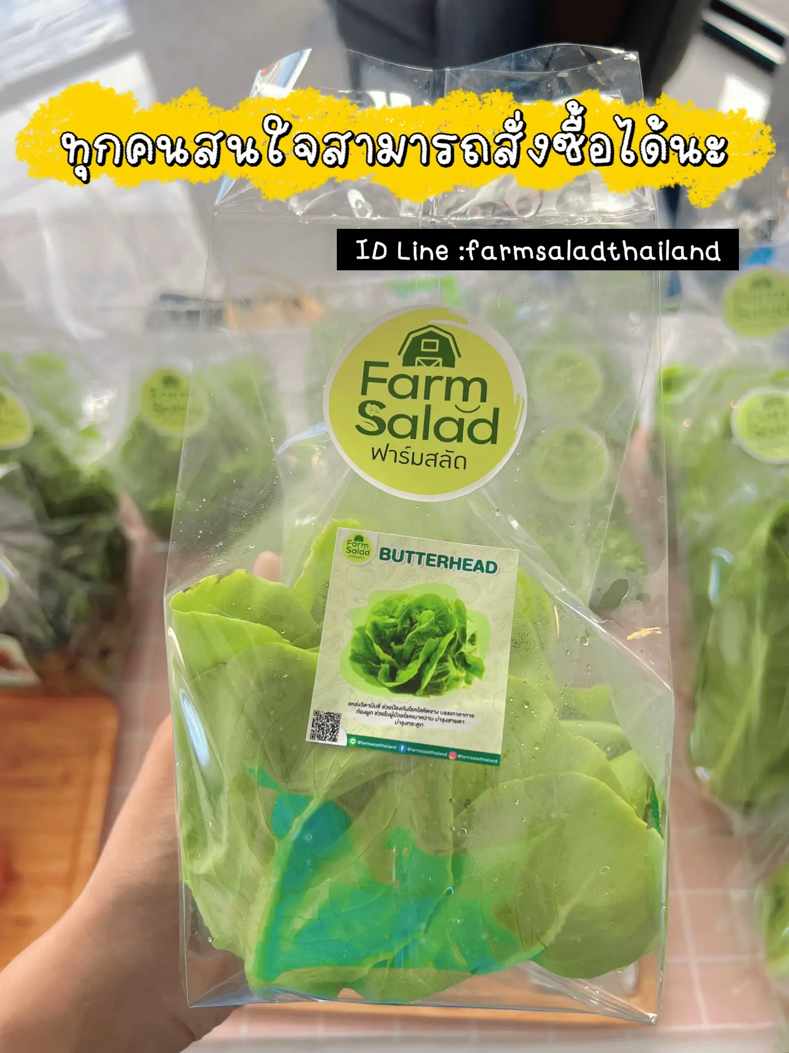 ผักออแกนิค 100% จากฟาร์มสลัด | แกลเลอรีที่โพสต์โดย Saifon | Lemon8