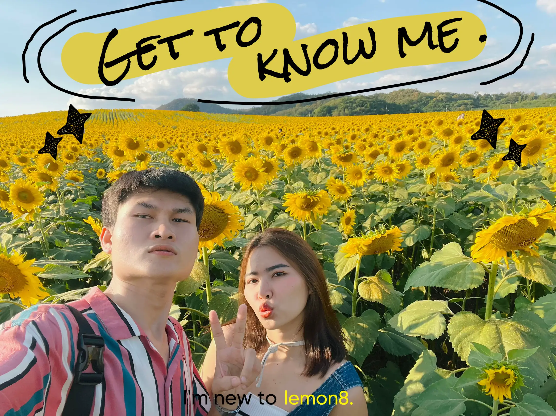 SUNFLOWER | แกลเลอรีที่โพสต์โดย 🦄 FAII :) | Lemon8