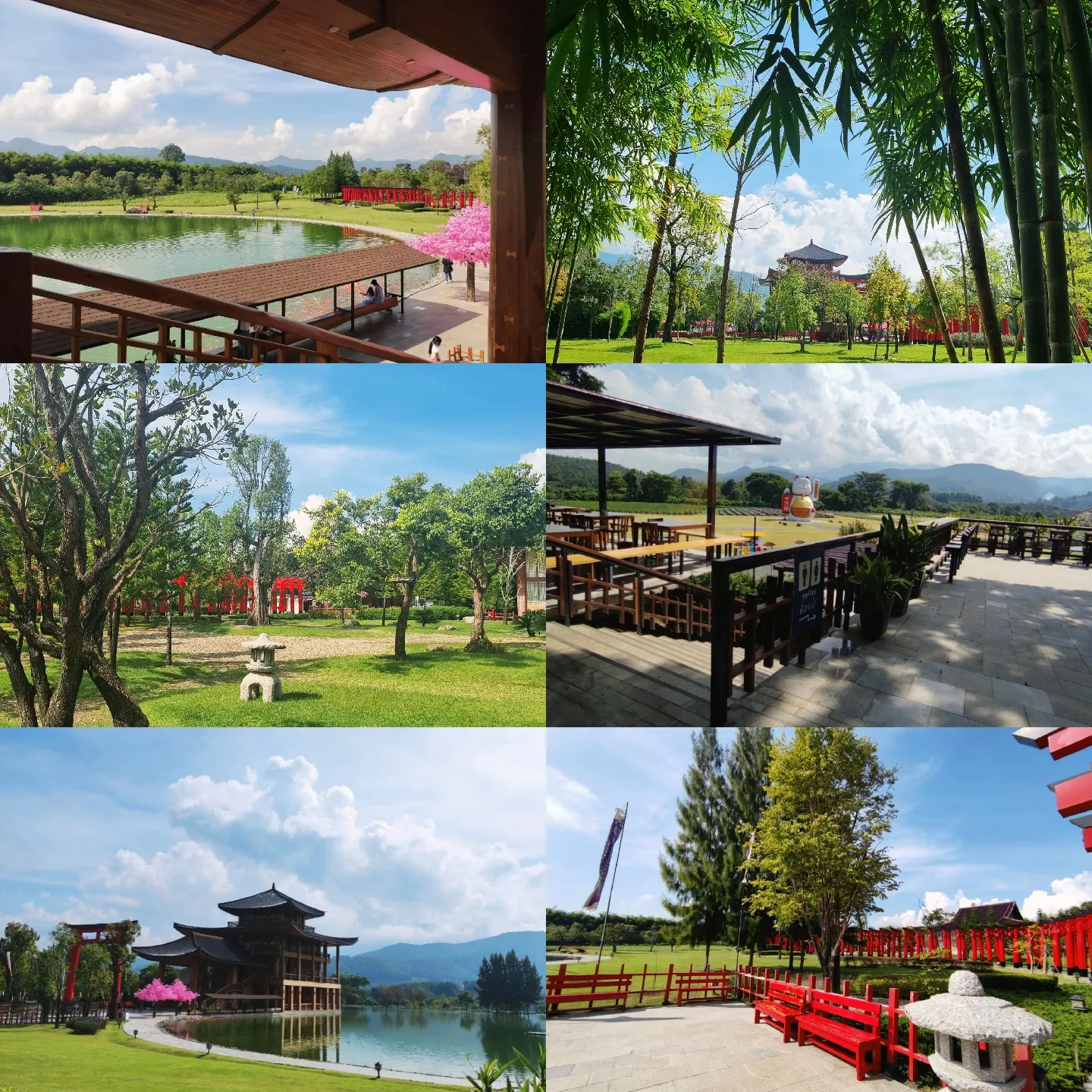 •Hinoki land• | แกลเลอรีที่โพสต์โดย Auieye96 | Lemon8